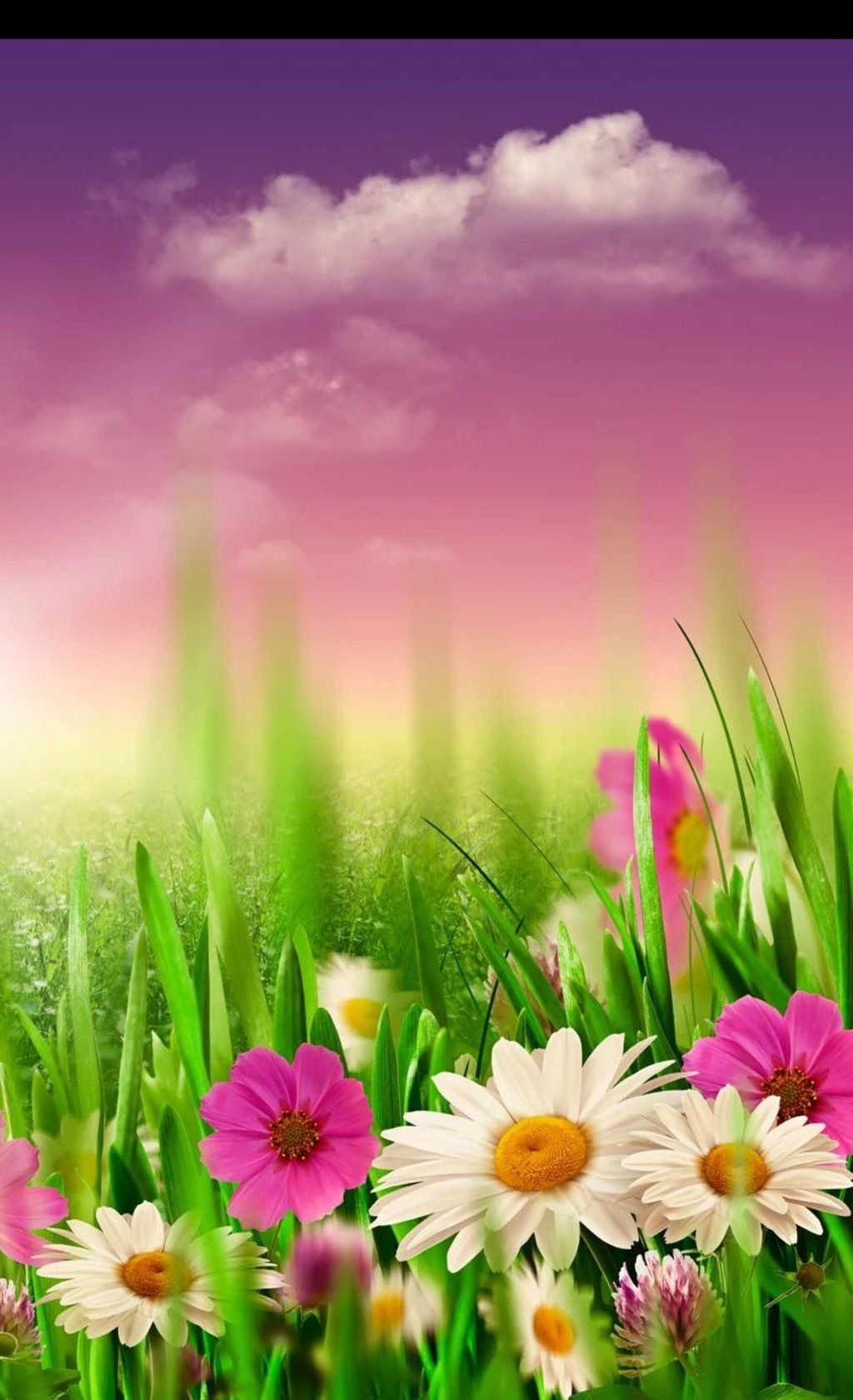 Spring Vertical Wallpapers - Wallpaper Cave