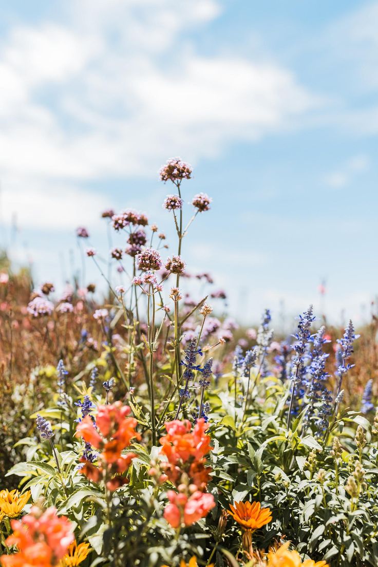 Spring Vertical Wallpapers - Wallpaper Cave