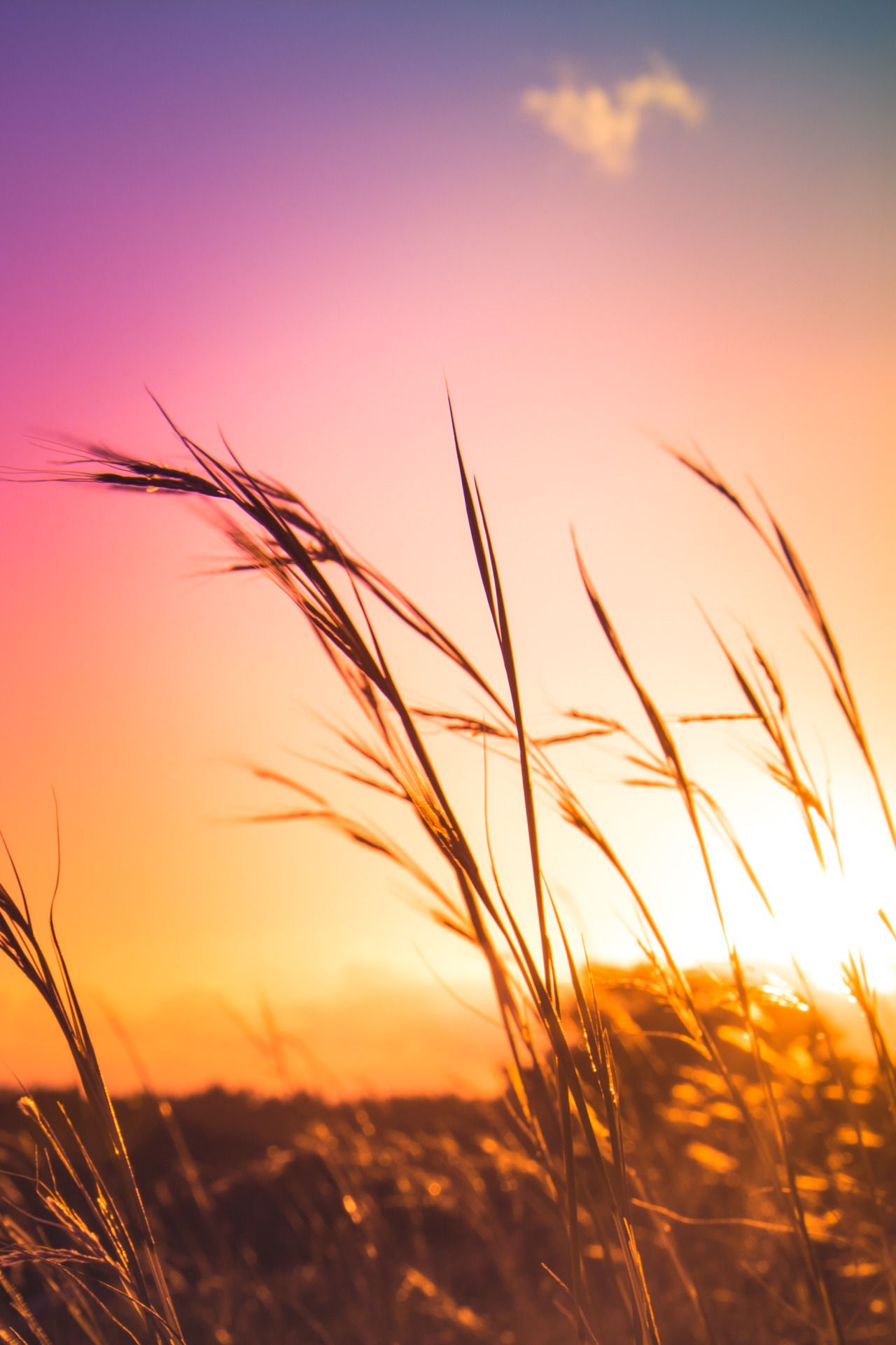 Summer Afternoon Wallpapers - Wallpaper Cave