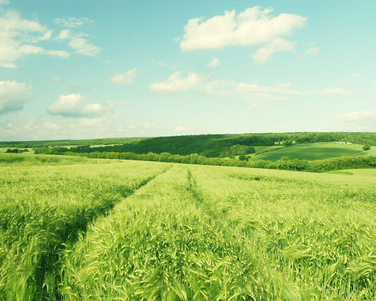 Summer Afternoon Wallpapers - Wallpaper Cave