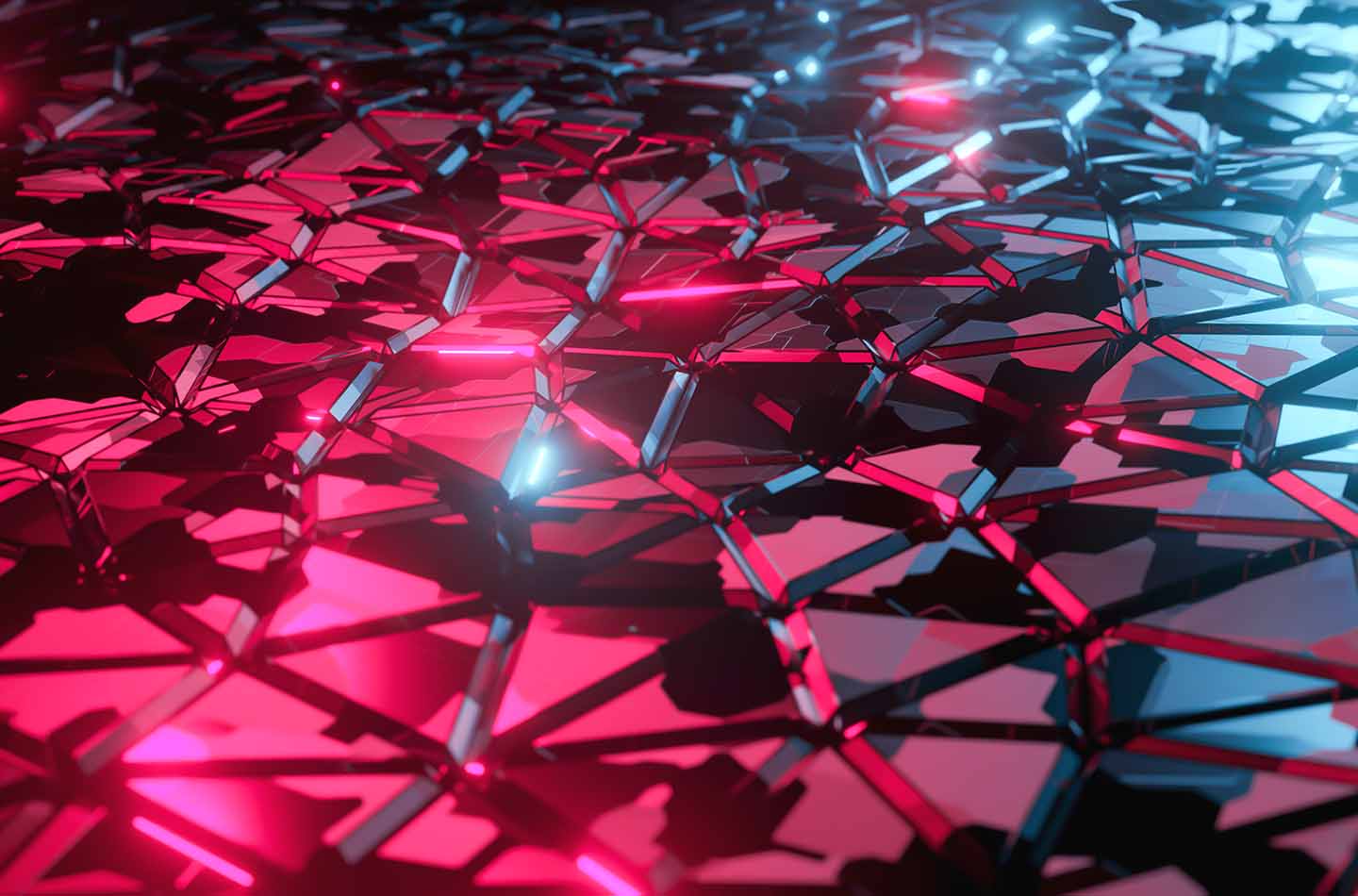 Omni And Poly Wallpapers - Wallpaper Cave