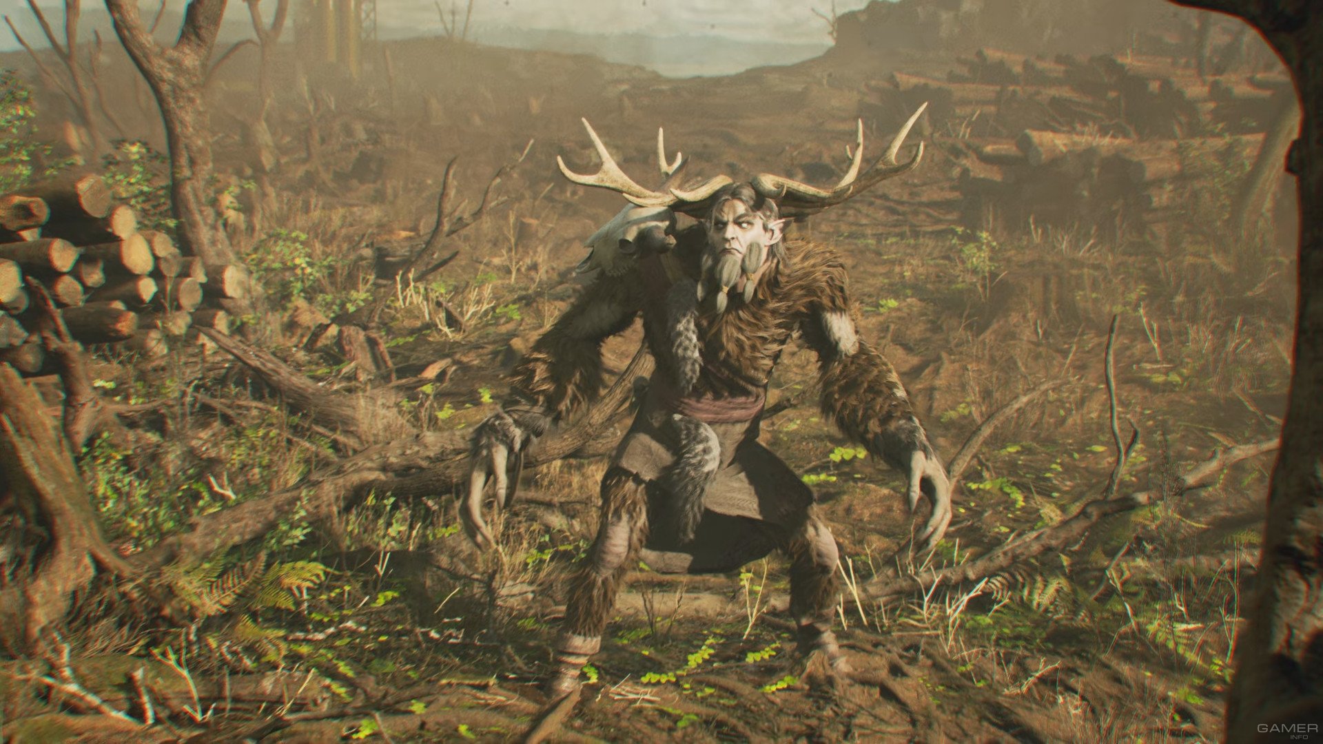 Leshy Wallpapers - Wallpaper Cave