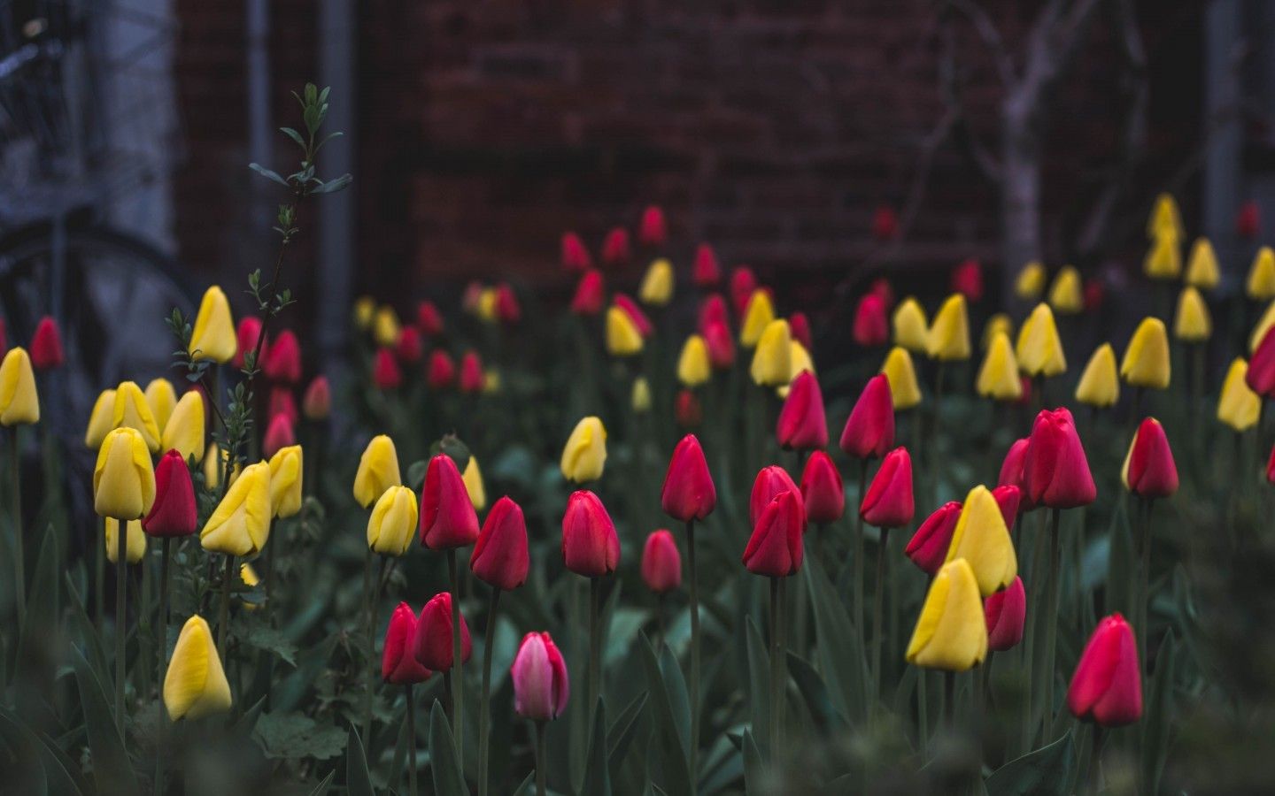 Mac Pro Spring Wallpapers - Wallpaper Cave