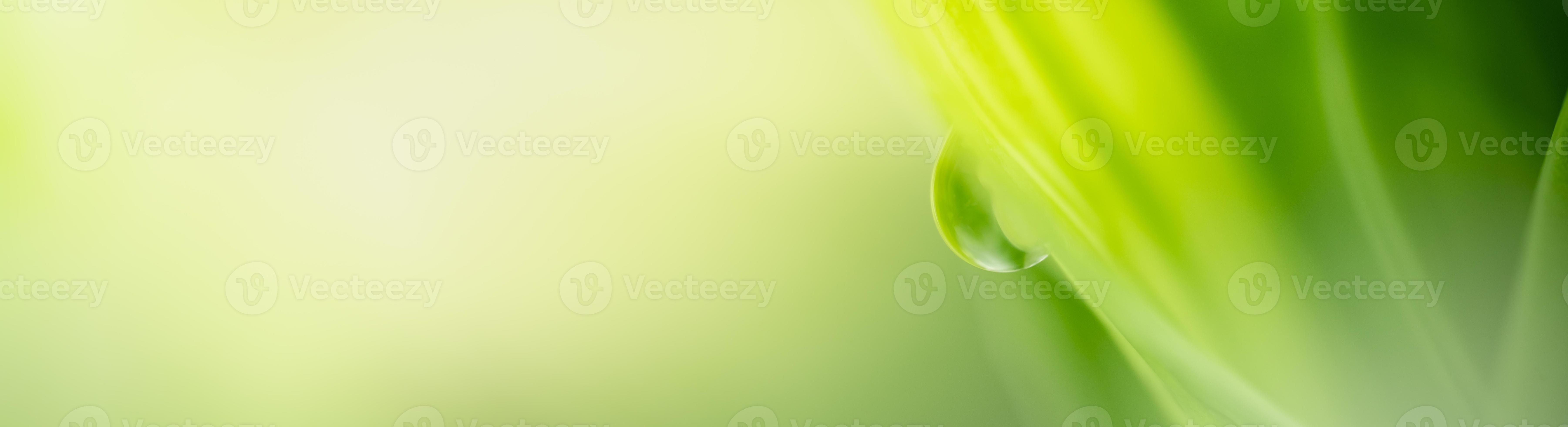 Summer Cover Page Wallpapers - Wallpaper Cave