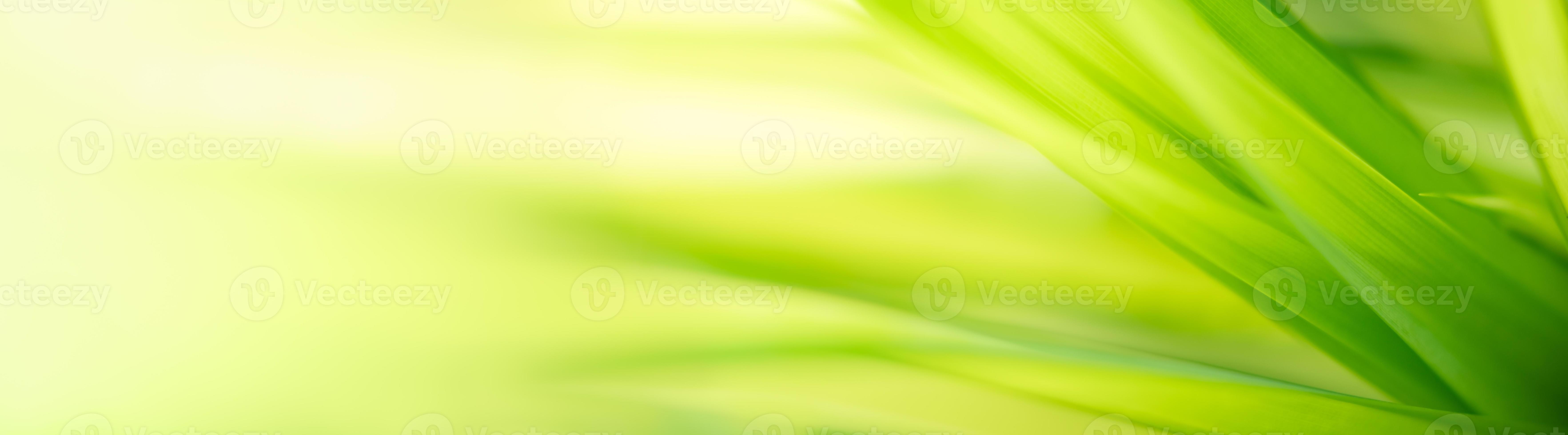 Summer Cover Page Wallpapers - Wallpaper Cave