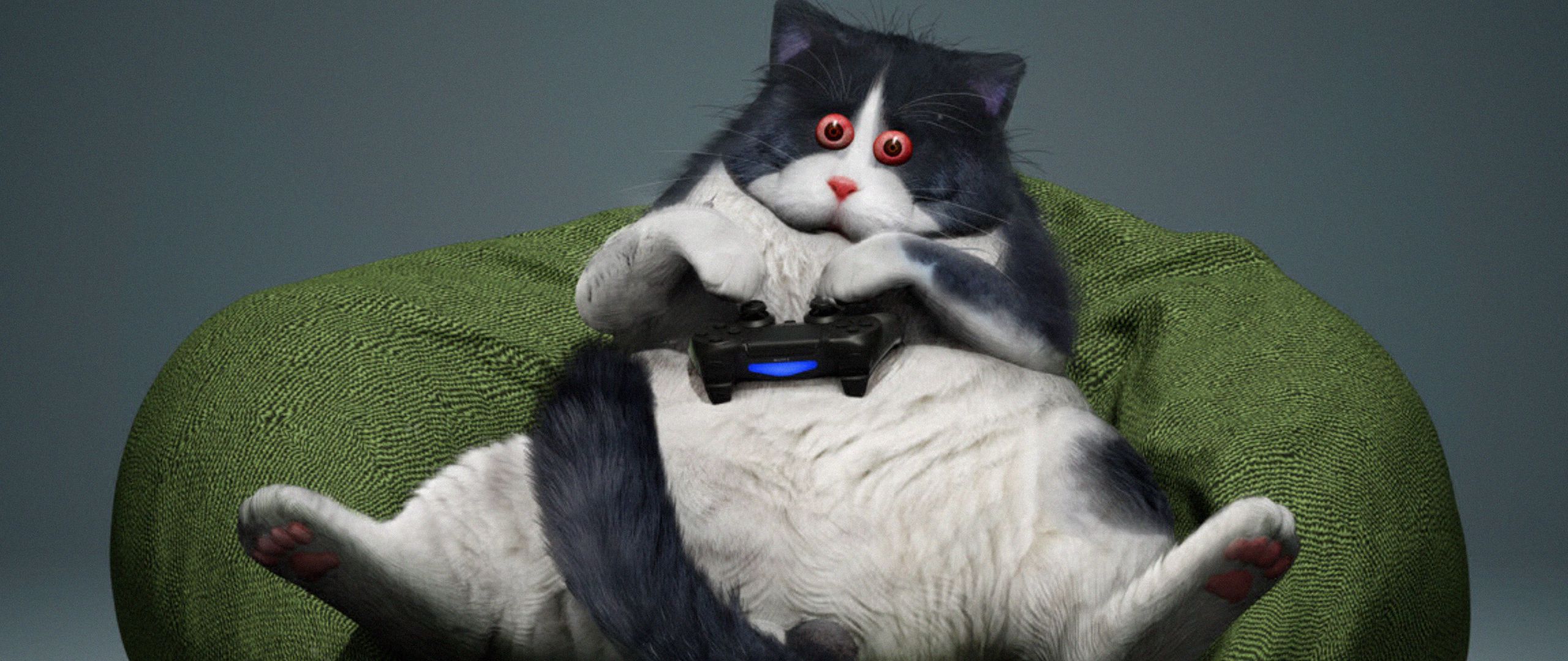 Cat Gamer Wallpapers - Wallpaper Cave