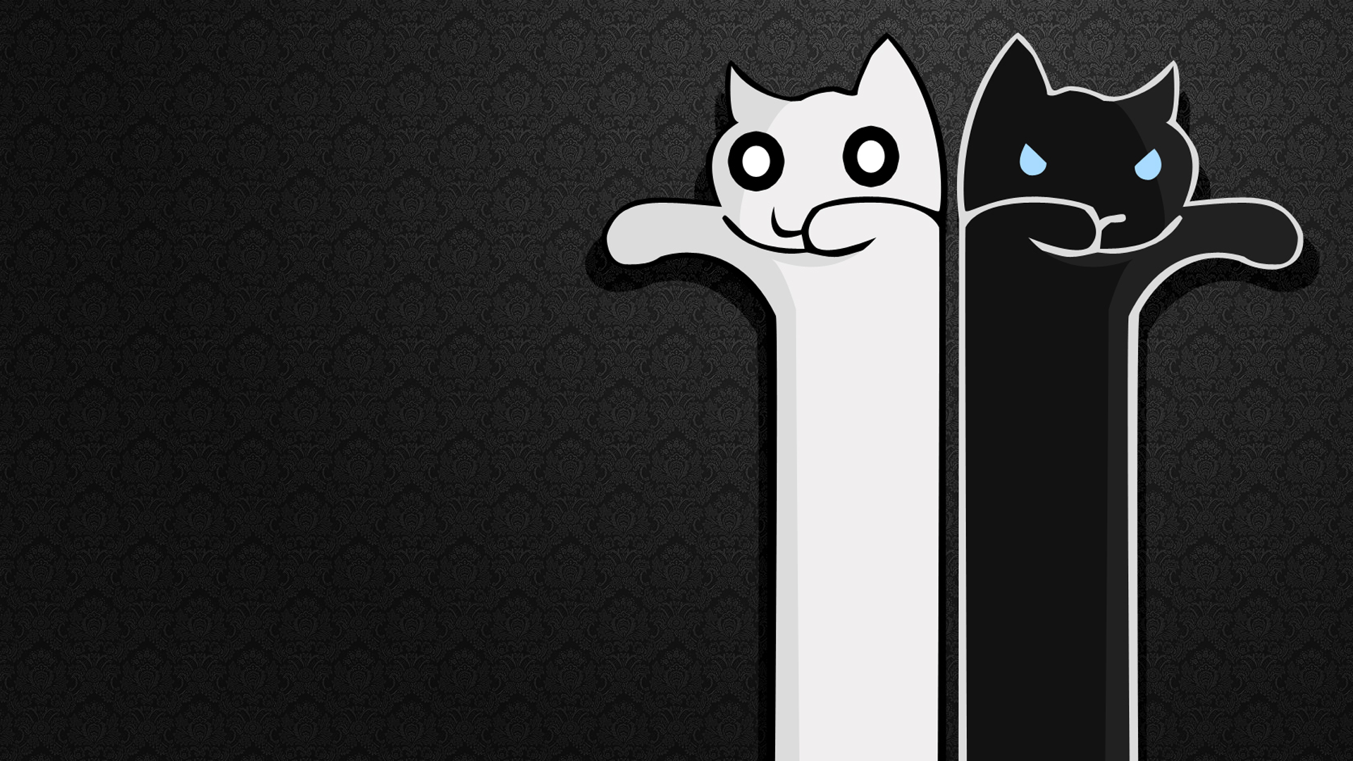 Cat Gamer Wallpapers - Wallpaper Cave