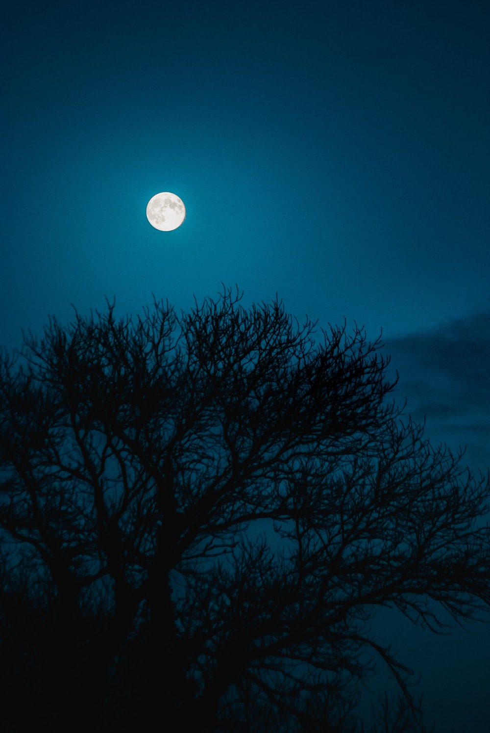 Moonlit Night Wallpapers - Wallpaper Cave