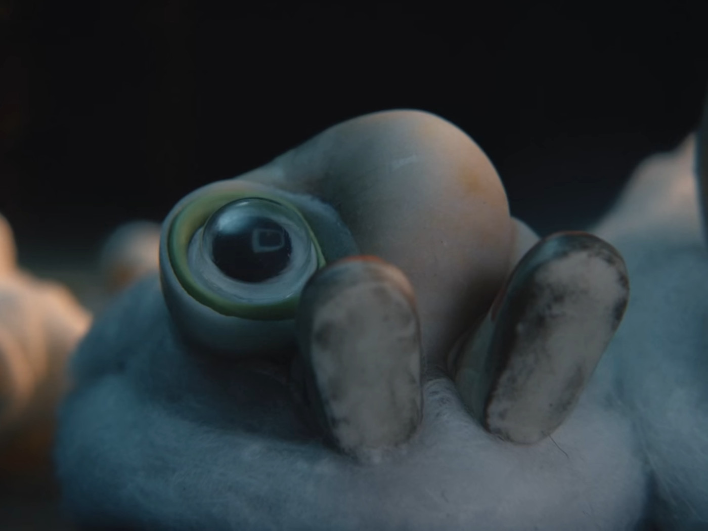 Marcel The Shell With Shoes On Wallpapers - Wallpaper Cave