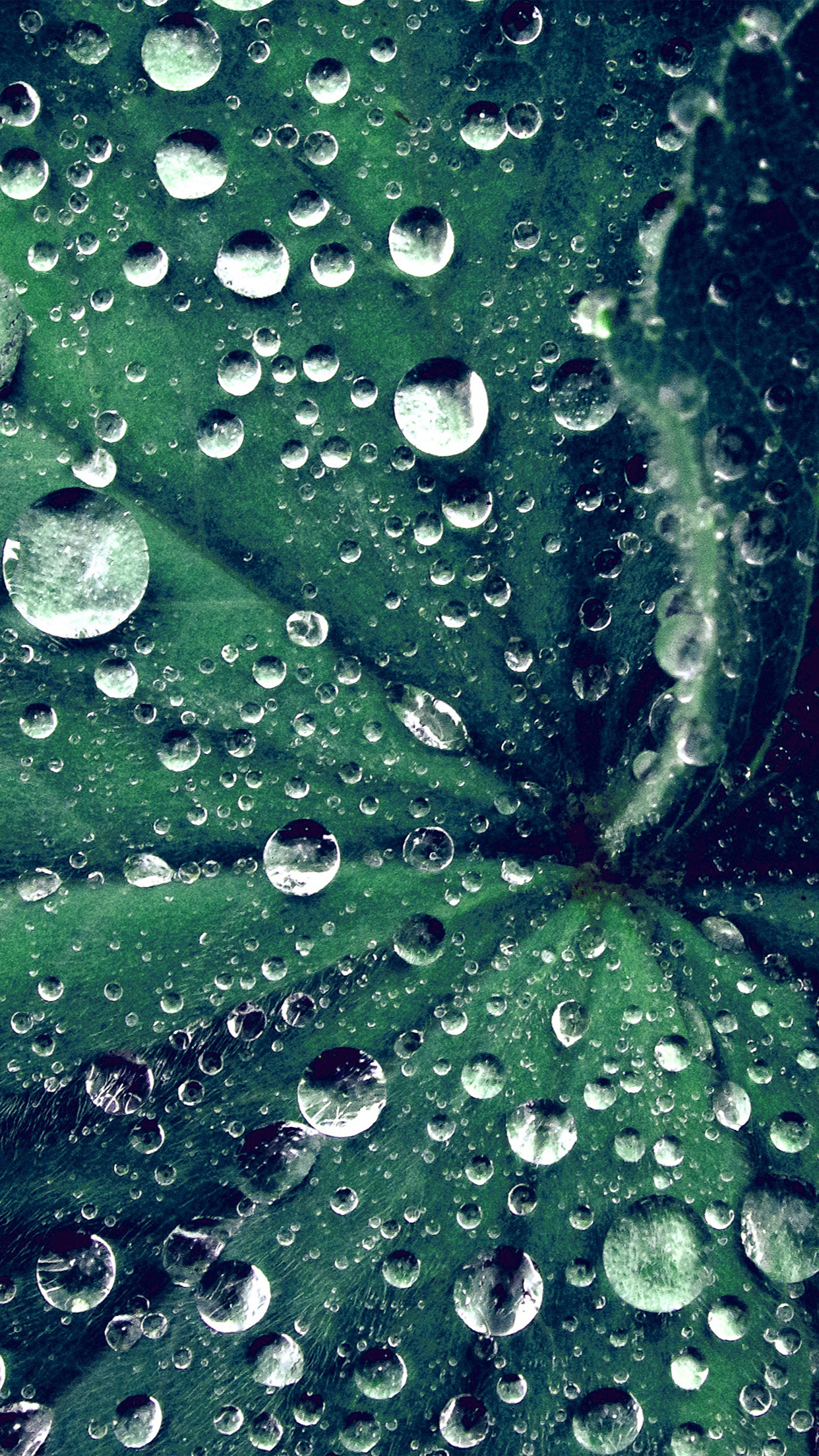 iPhone Water Drops Wallpapers - Wallpaper Cave
