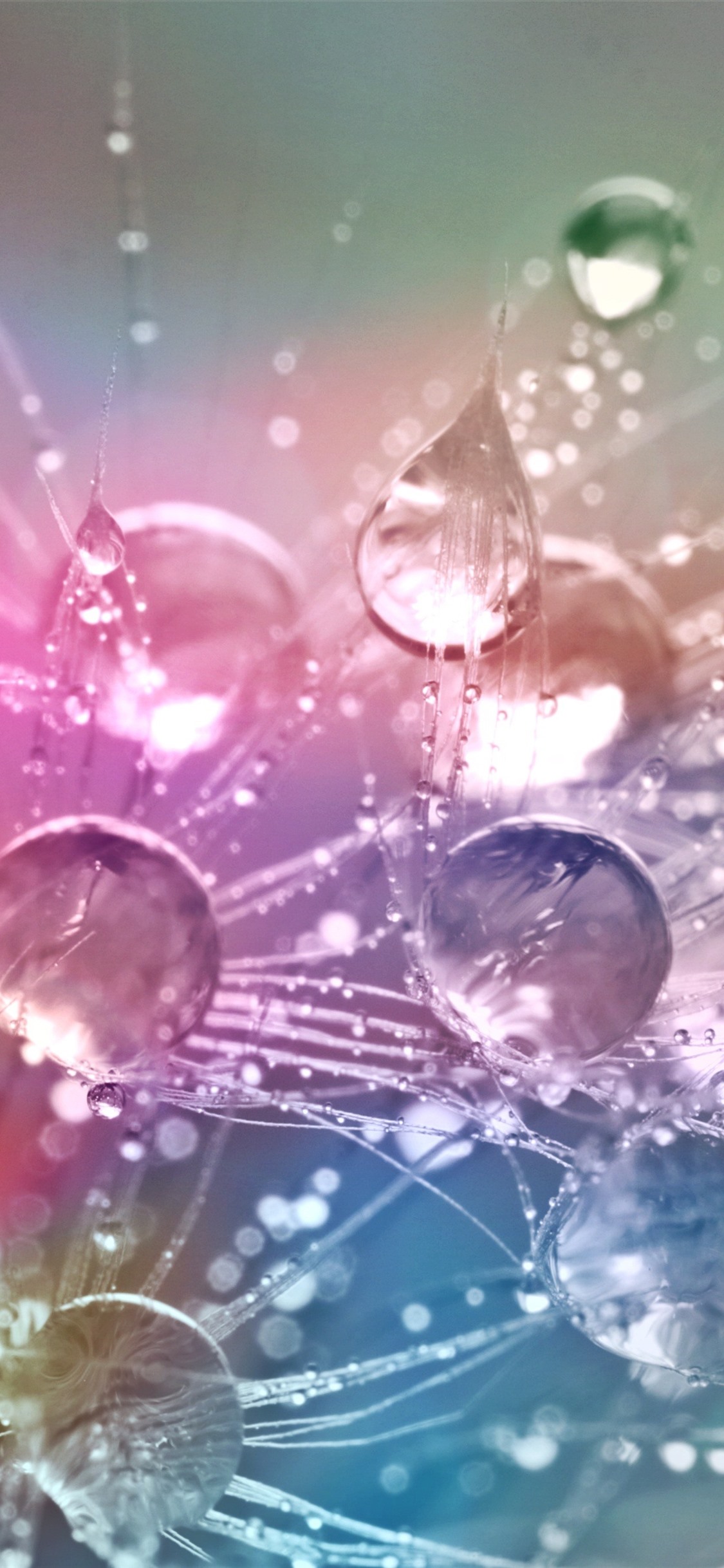 iPhone Water Drops Wallpapers - Wallpaper Cave