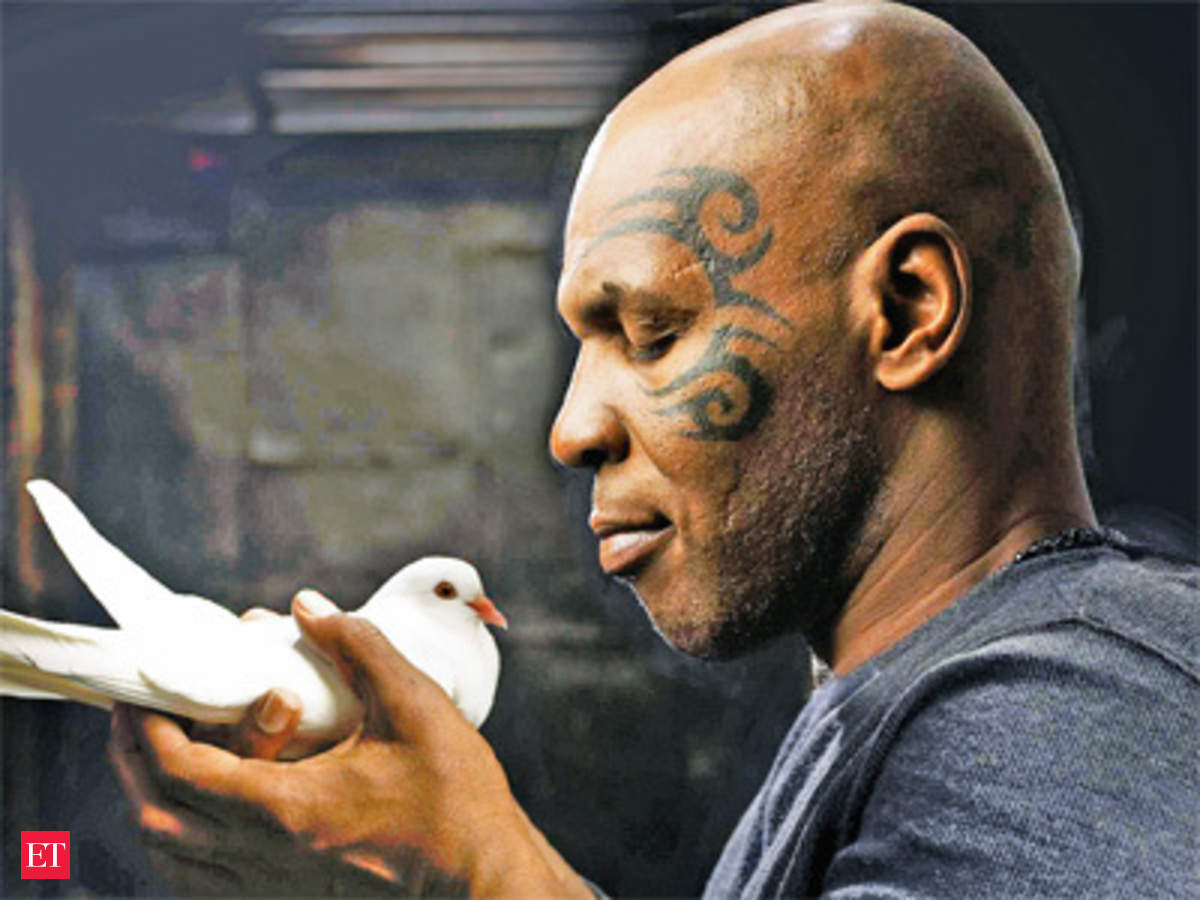 Mike Tyson Bird Wallpapers - Wallpaper Cave