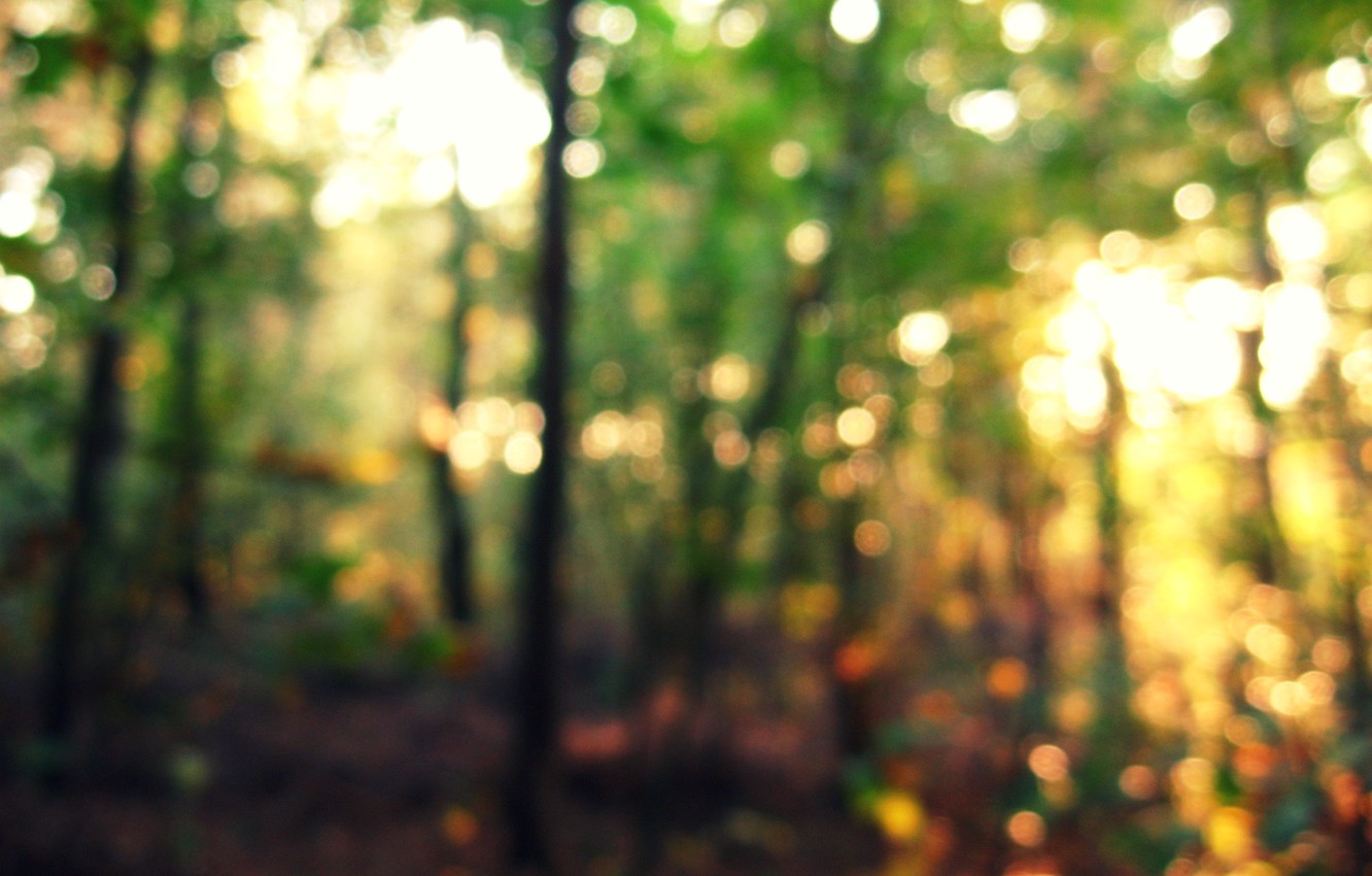 Nature Bokeh Wallpapers - Wallpaper Cave