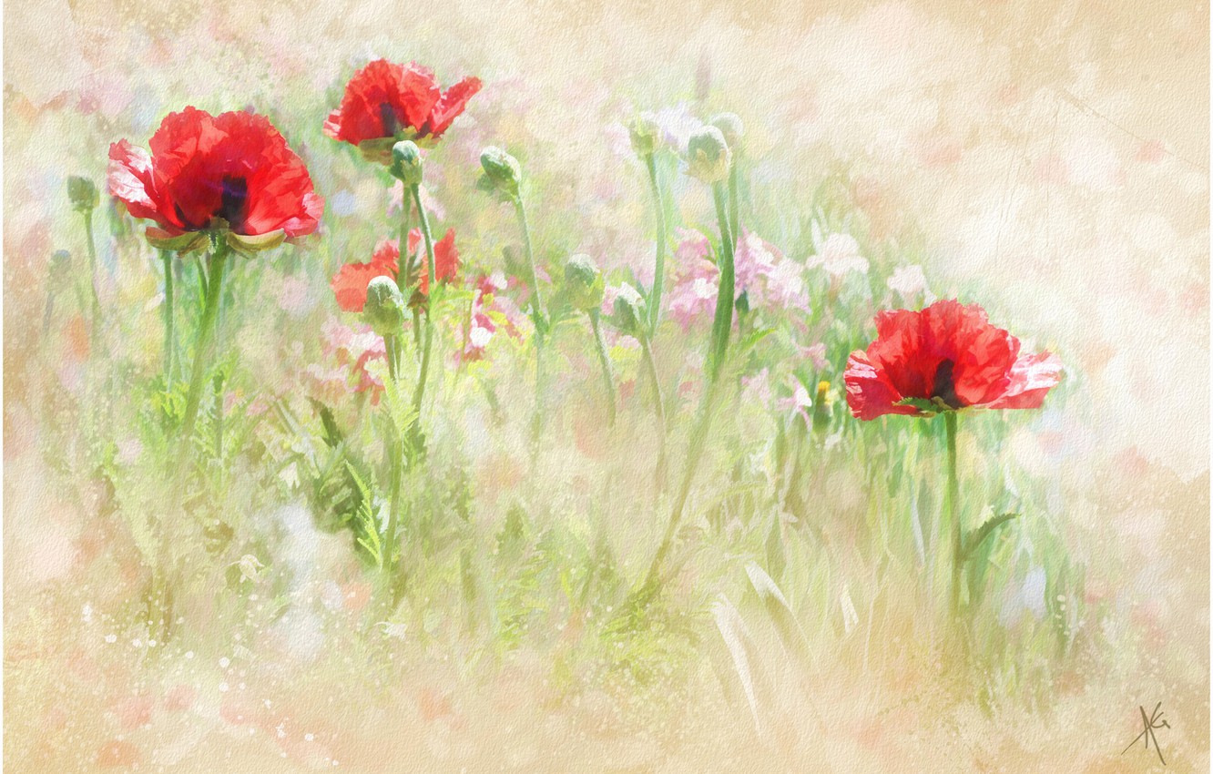 Summer Digital Art Wallpapers - Wallpaper Cave