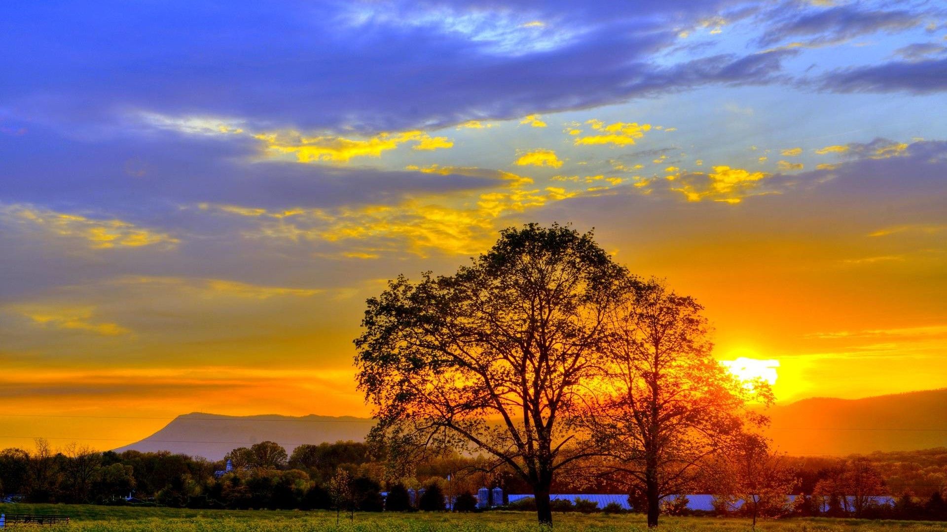 1920x1080 Sunset Summer Wallpapers - Wallpaper Cave