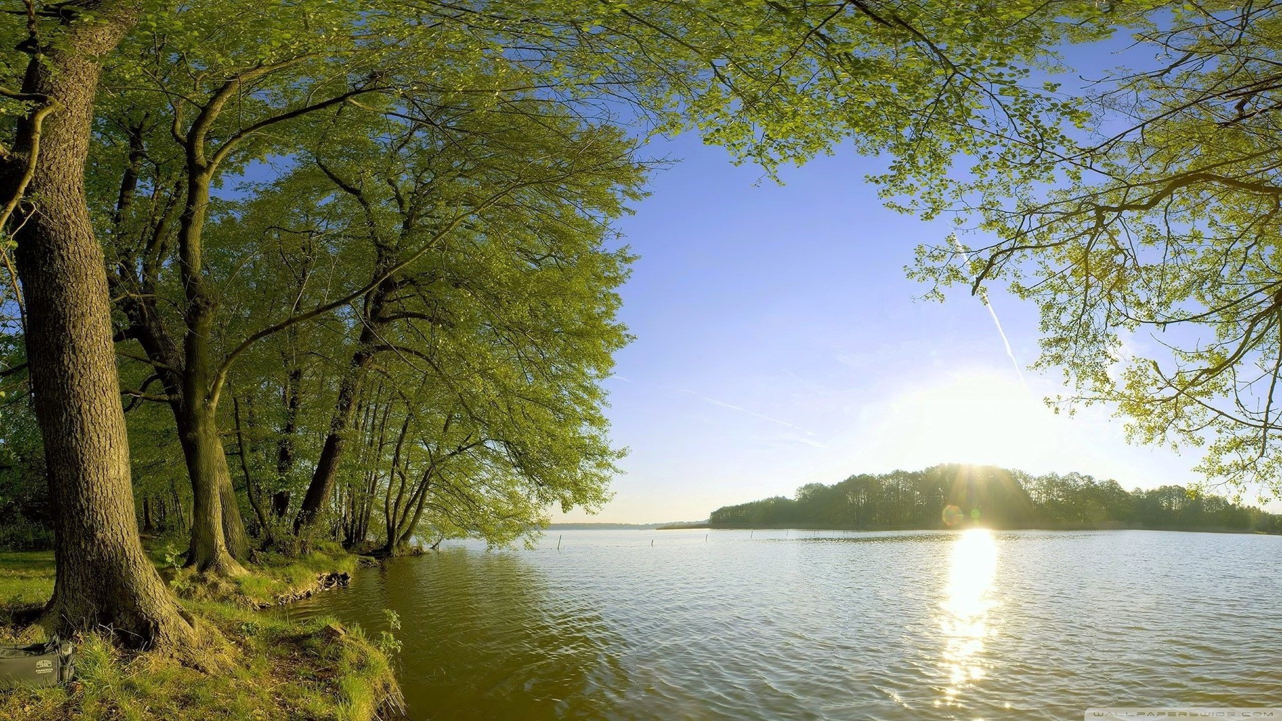 Summer Lake Trees Wallpapers - Wallpaper Cave