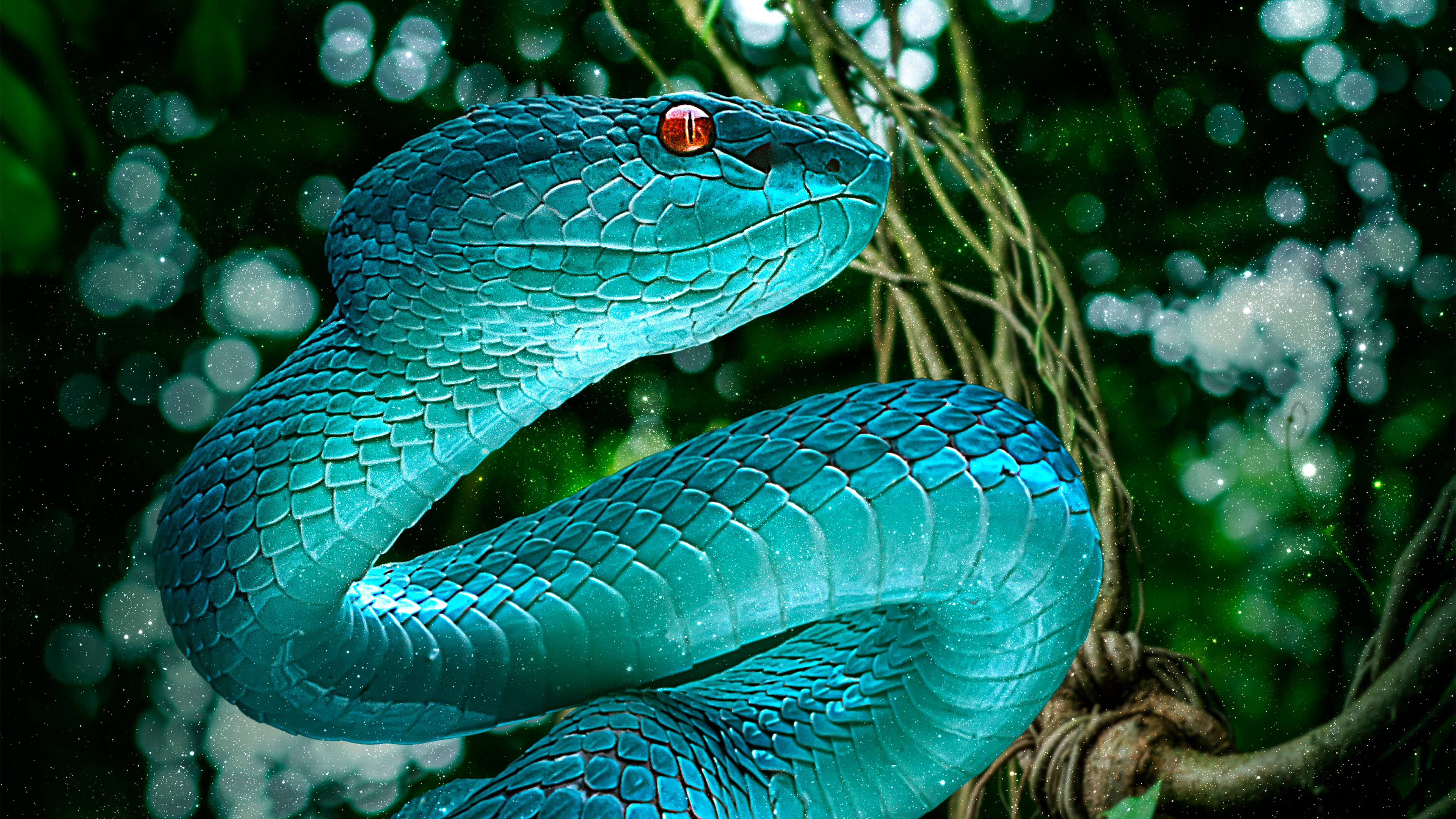 Blue Pit Viper Wallpapers - Wallpaper Cave