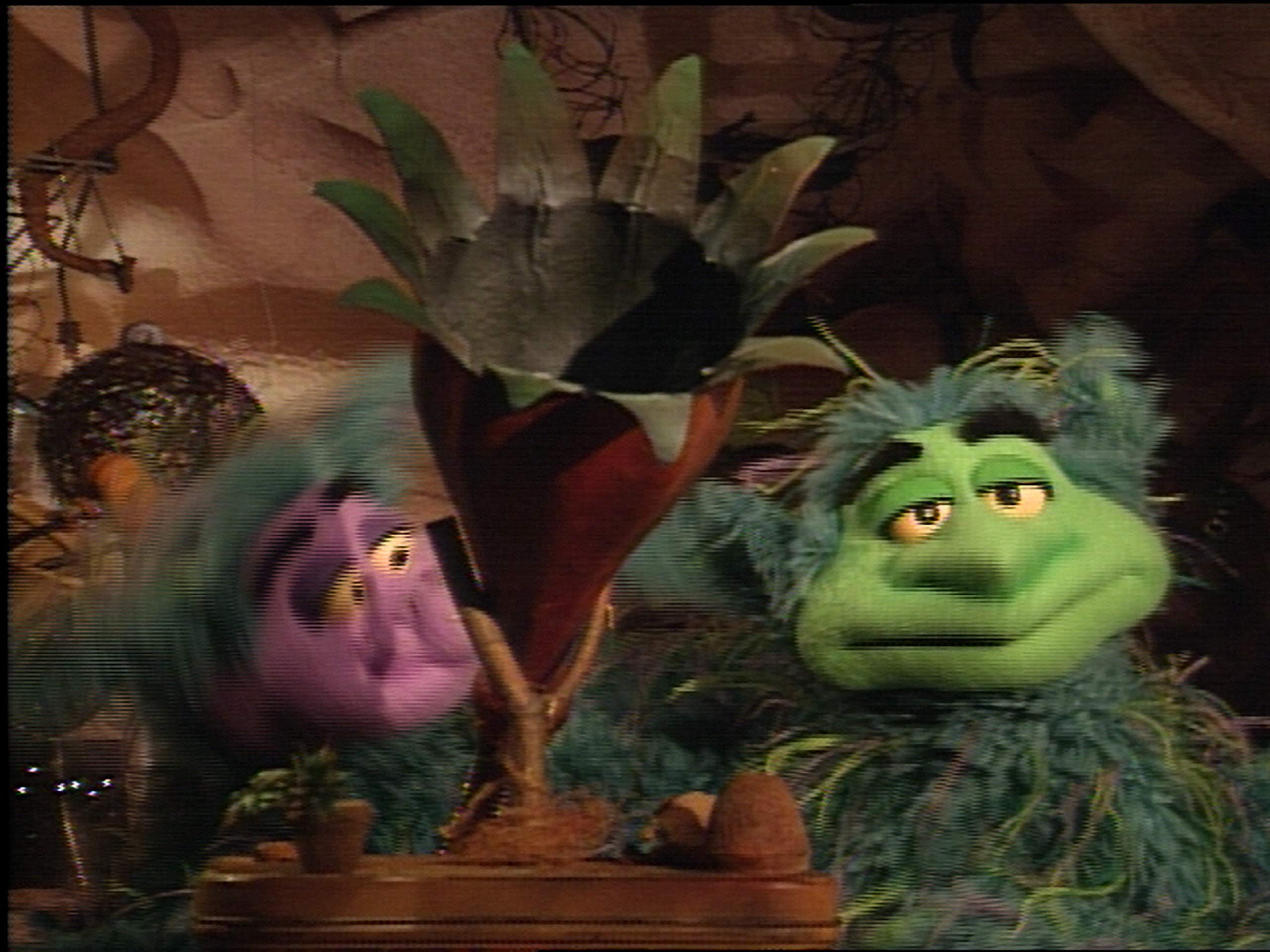 Groundling Marsh Wallpapers - Wallpaper Cave