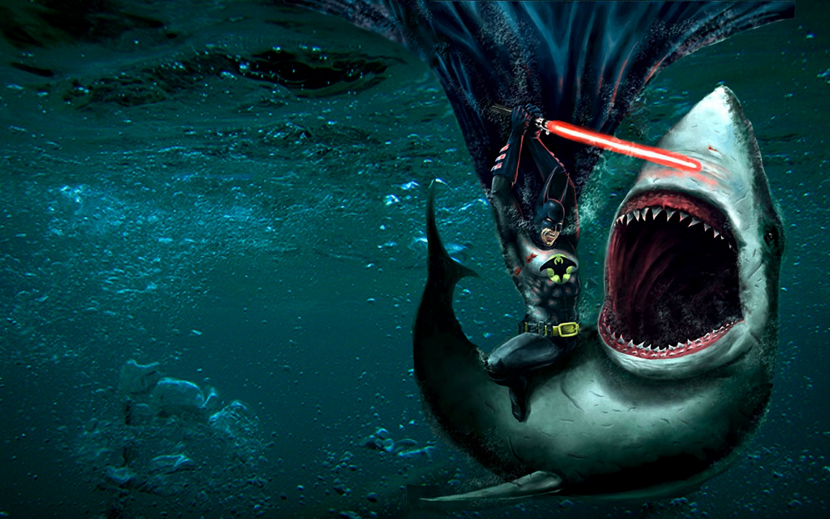 Requin Wallpapers - Wallpaper Cave