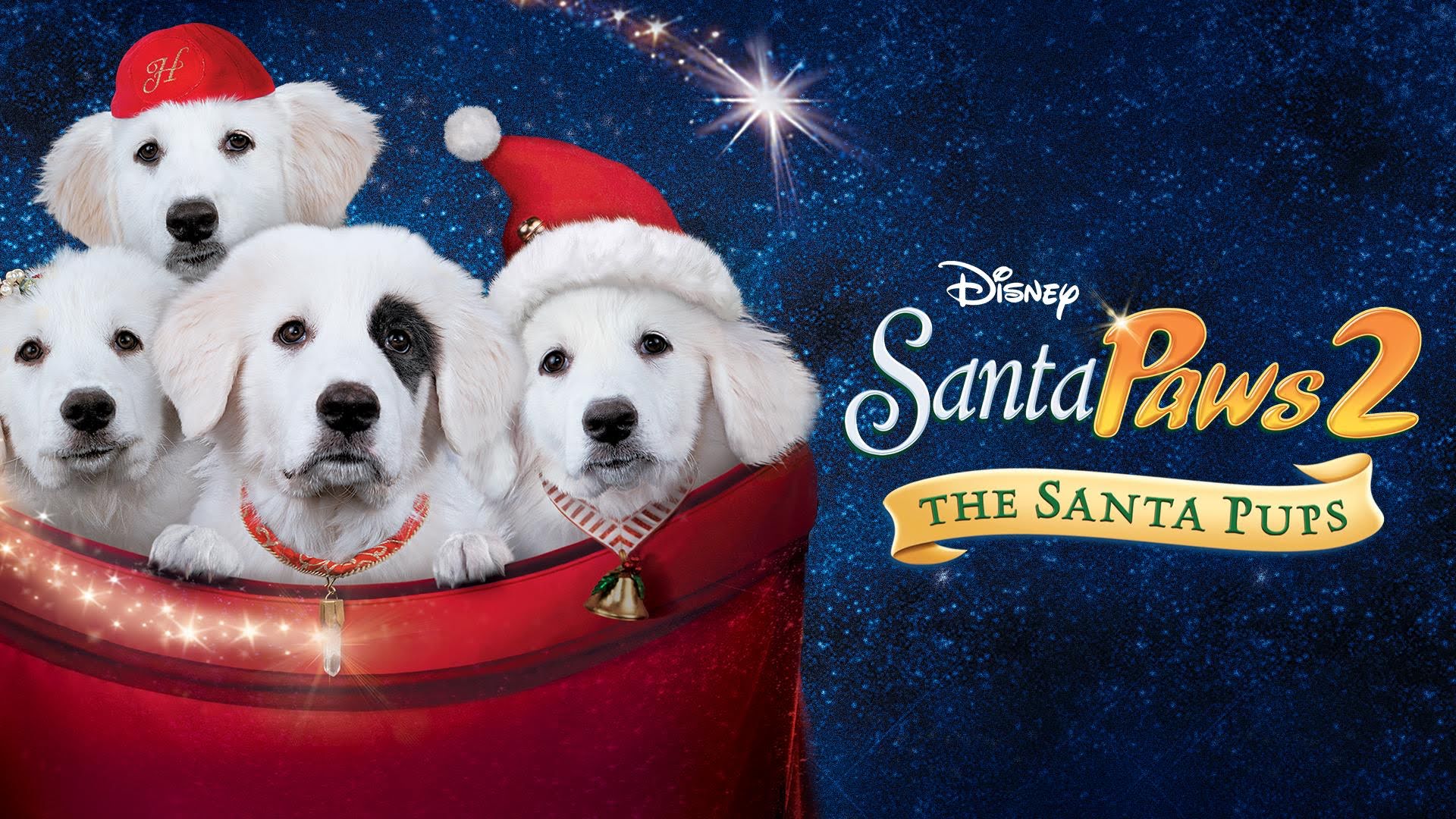 Santa Paws 2: The Santa Pups Wallpapers - Wallpaper Cave