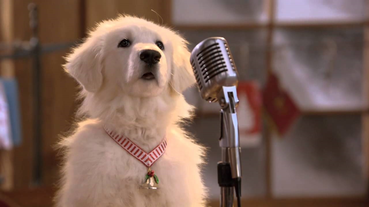 Santa Paws 2: The Santa Pups Wallpapers - Wallpaper Cave