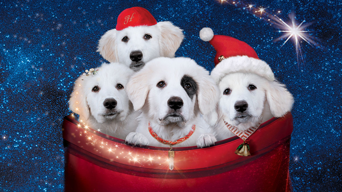 Santa Paws 2: The Santa Pups Wallpapers - Wallpaper Cave