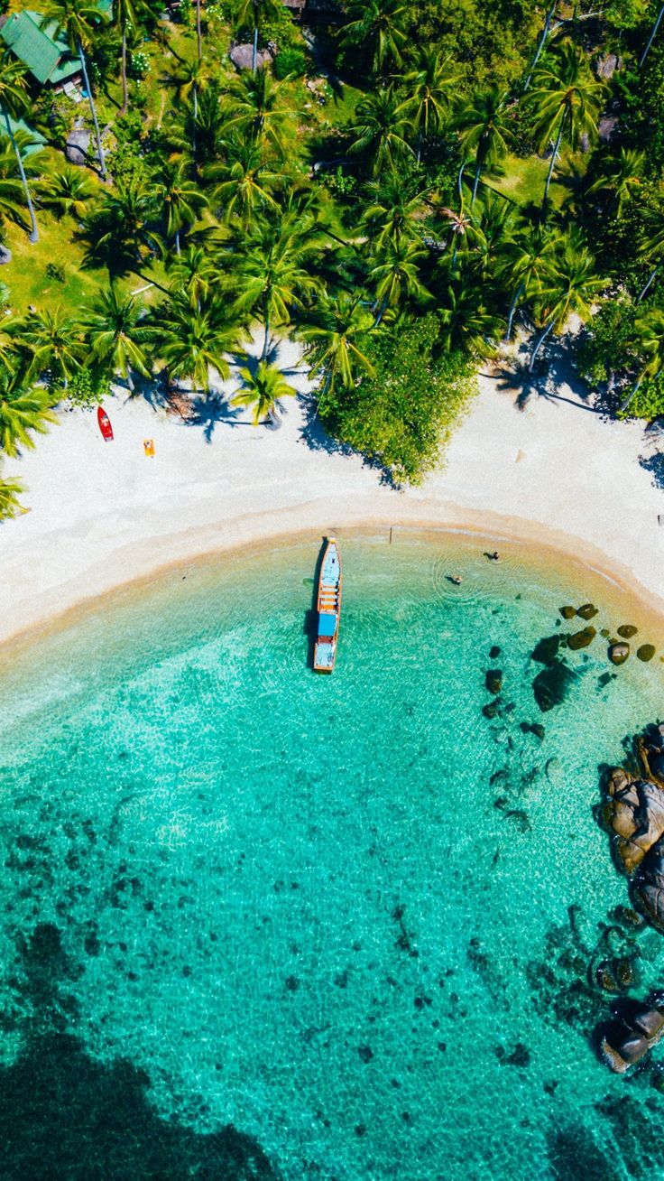 Bird View Wallpapers - Wallpaper Cave