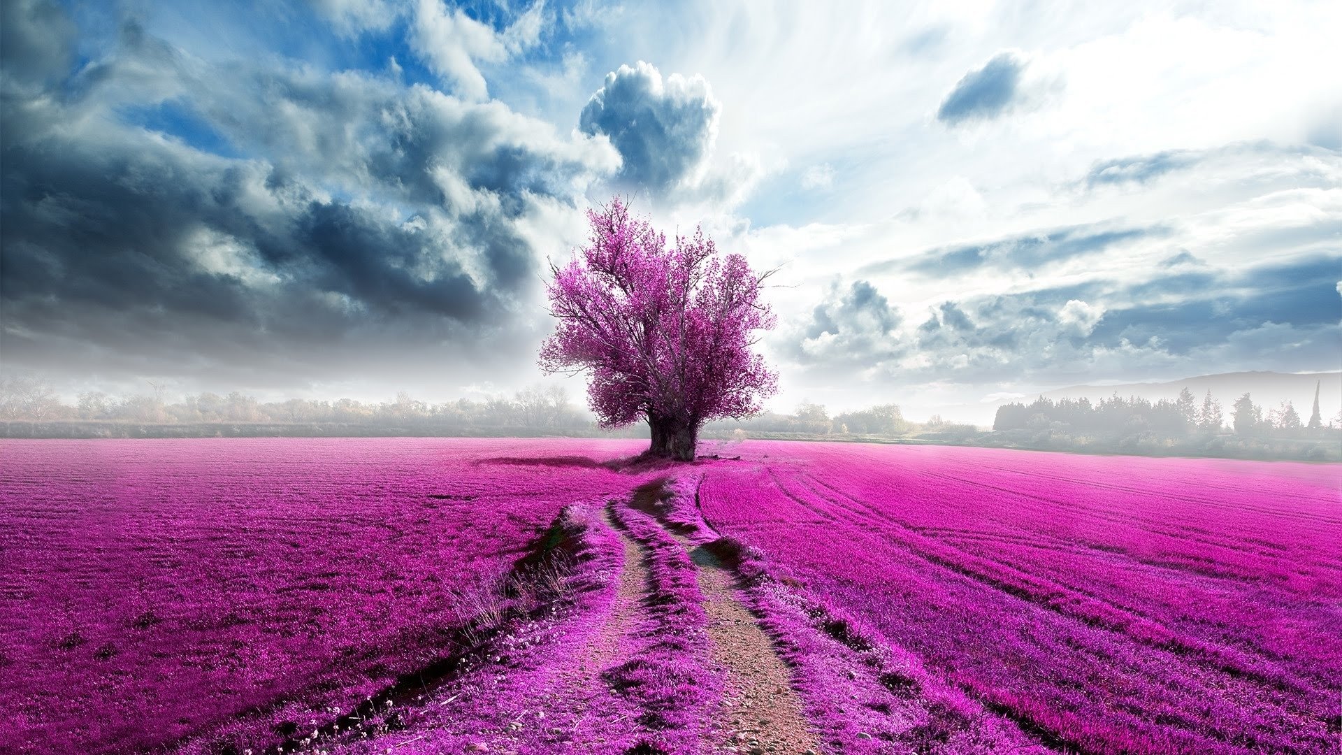 Spring Purple Trees Wallpapers - Wallpaper Cave