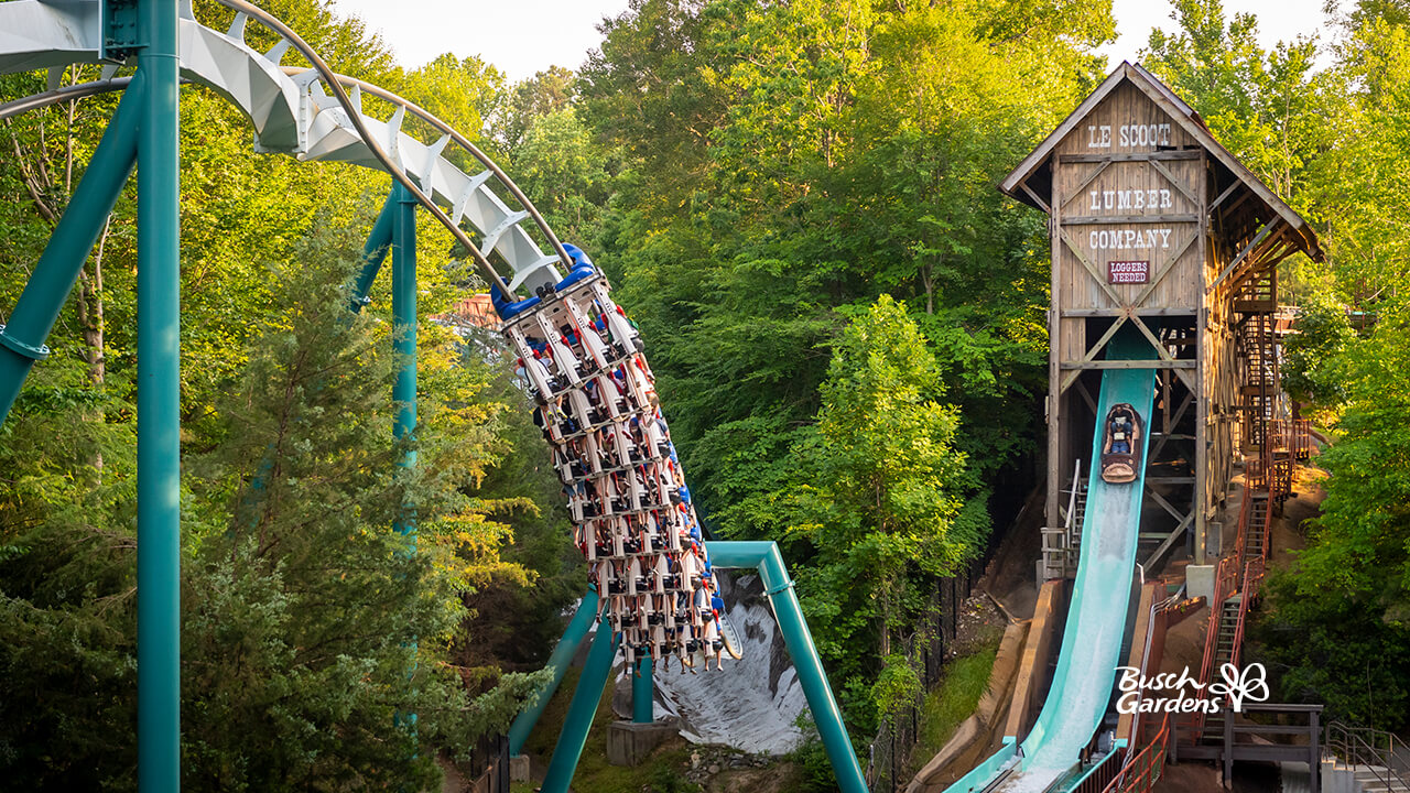 Busch Gardens Wallpapers - Wallpaper Cave