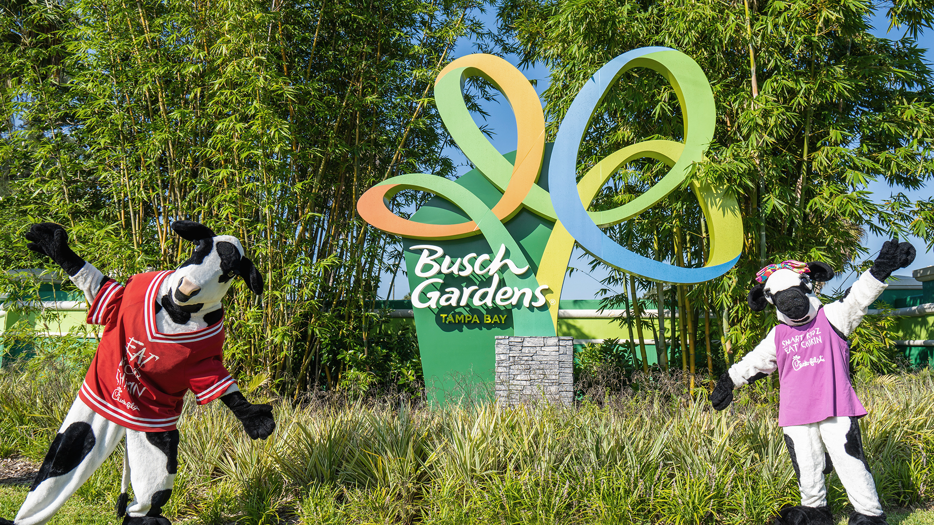 Busch Gardens Wallpapers - Wallpaper Cave