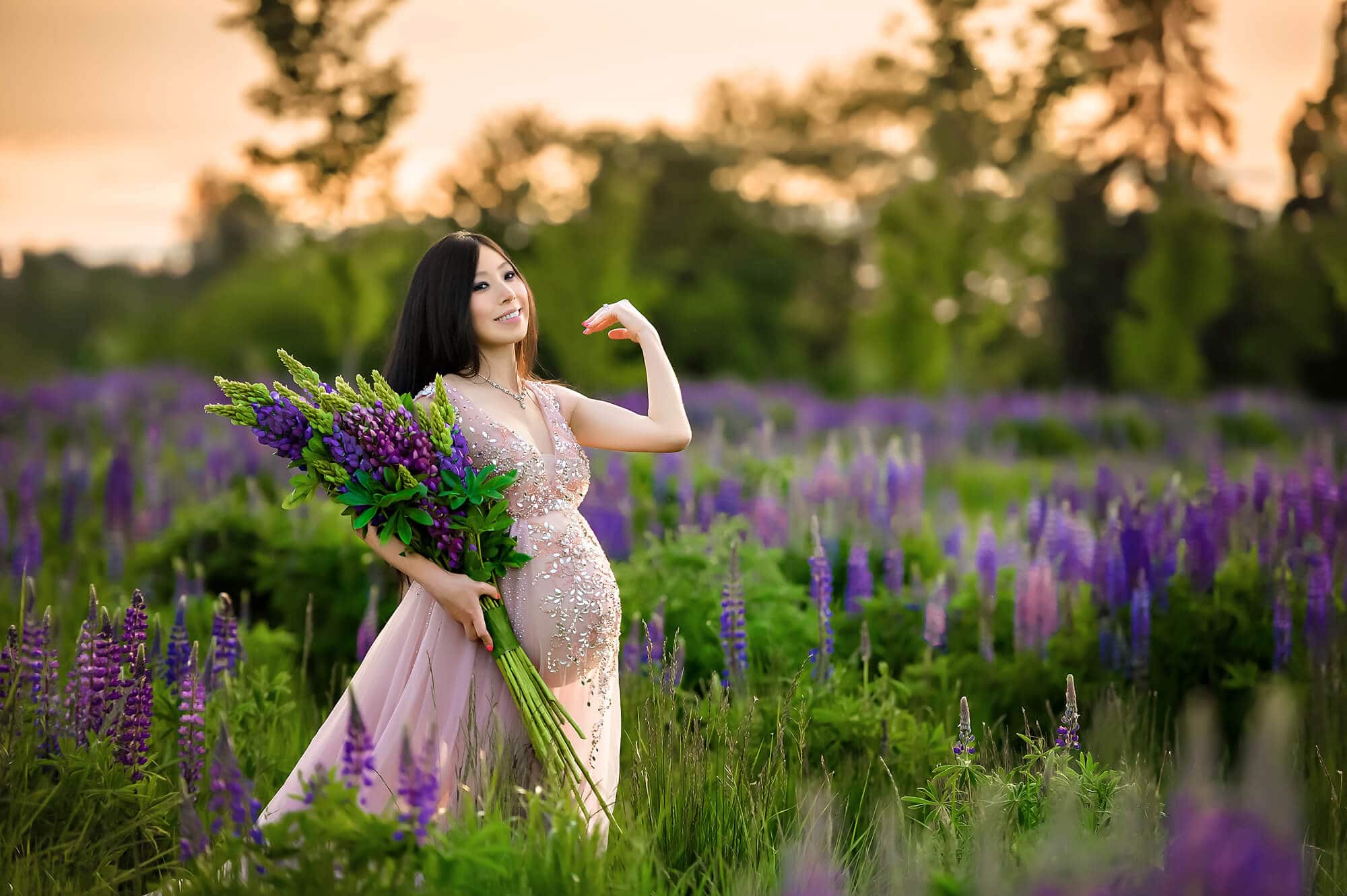 Lupine Meadow Wallpapers - Wallpaper Cave