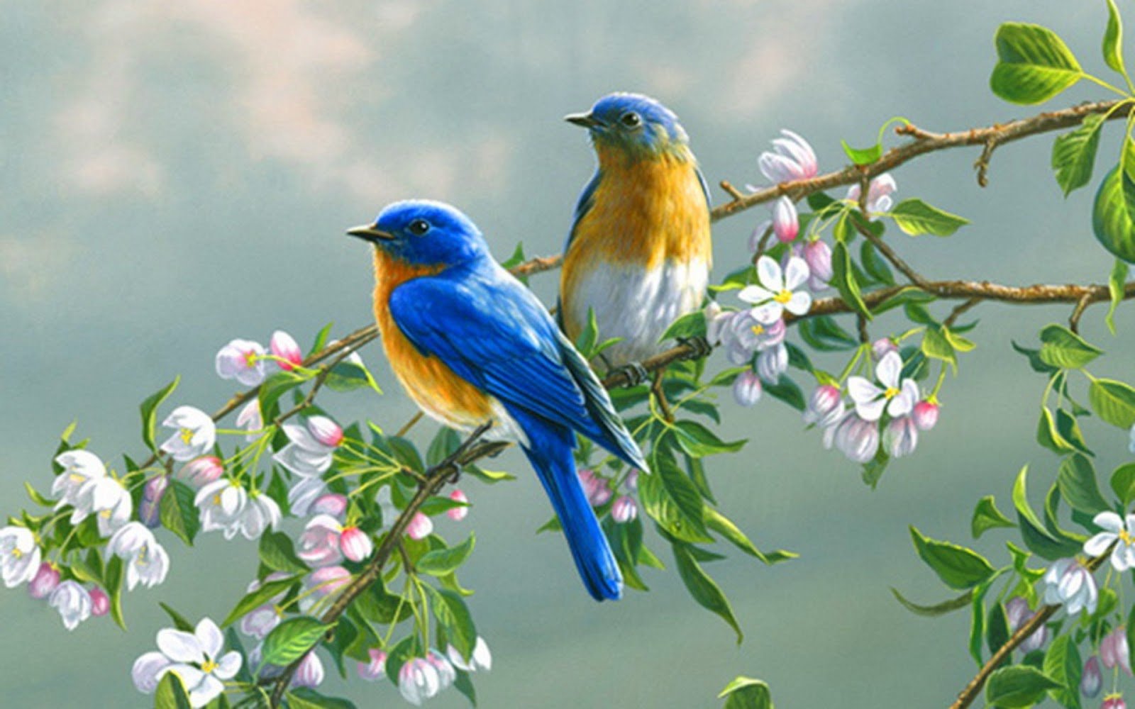 Little Bird And Flowers Wallpapers - Wallpaper Cave