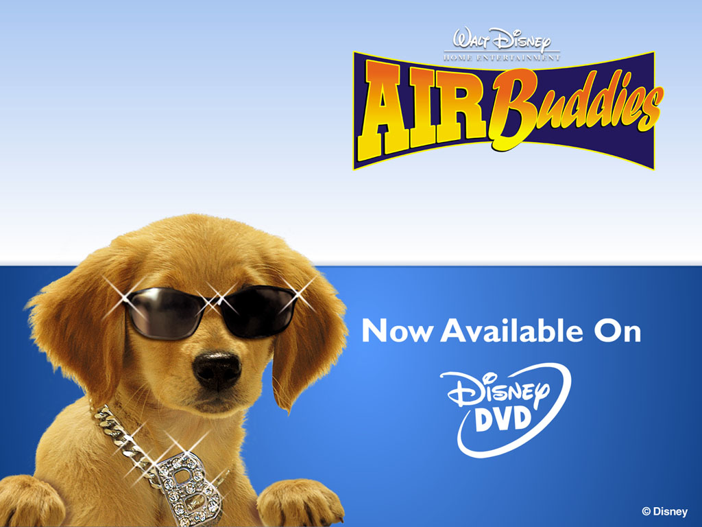 B-Dawg Buddies Wallpapers - Wallpaper Cave