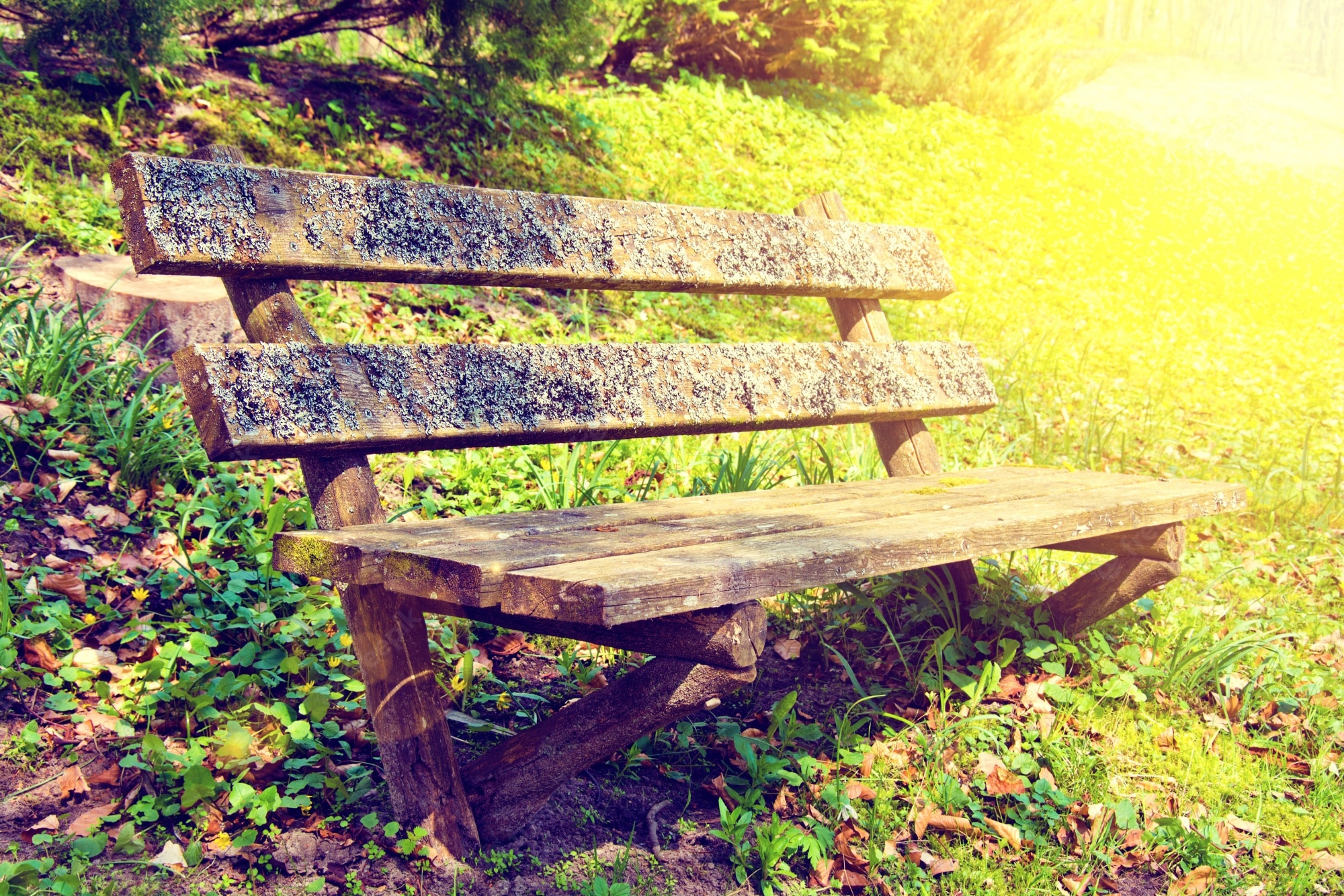 Summer Bench Wallpapers - Wallpaper Cave