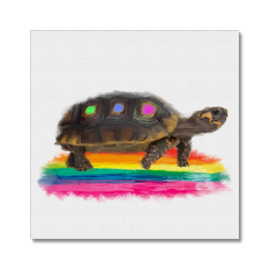 Rainbow Turtle Kawaii Wallpapers - Wallpaper Cave