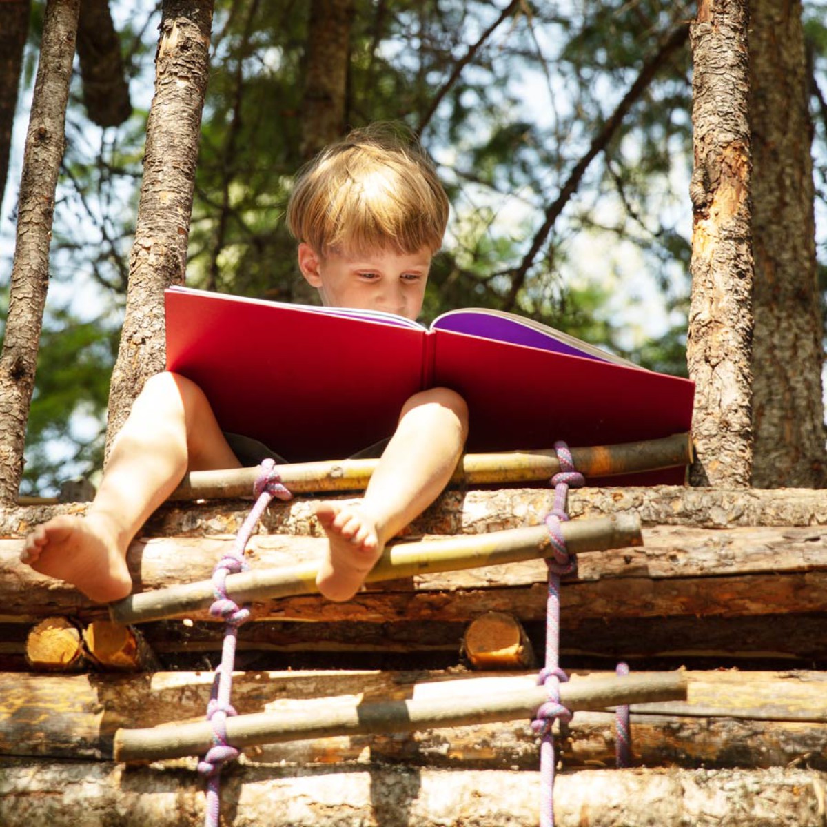 Reading Summer Wallpapers - Wallpaper Cave