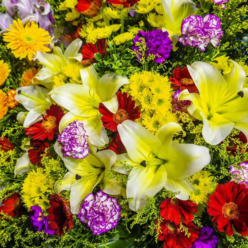 Mixed Flowers Wallpapers - Wallpaper Cave