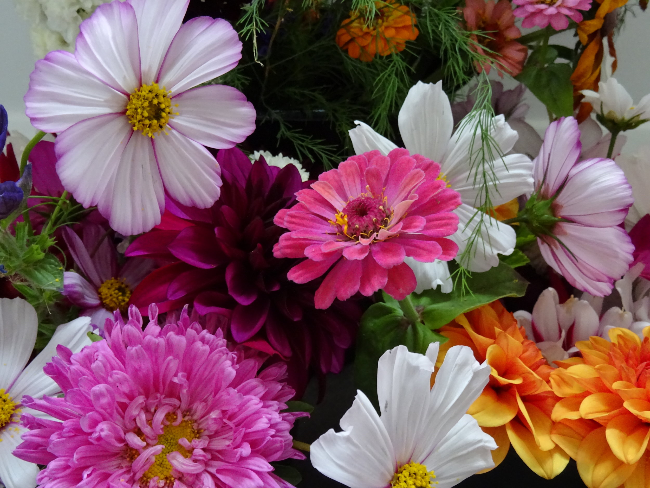 Mixed Flowers Wallpapers - Wallpaper Cave