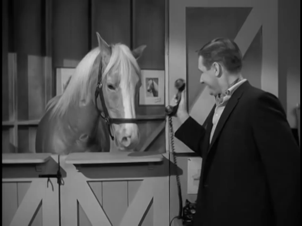 Mister Ed Wallpapers - Wallpaper Cave
