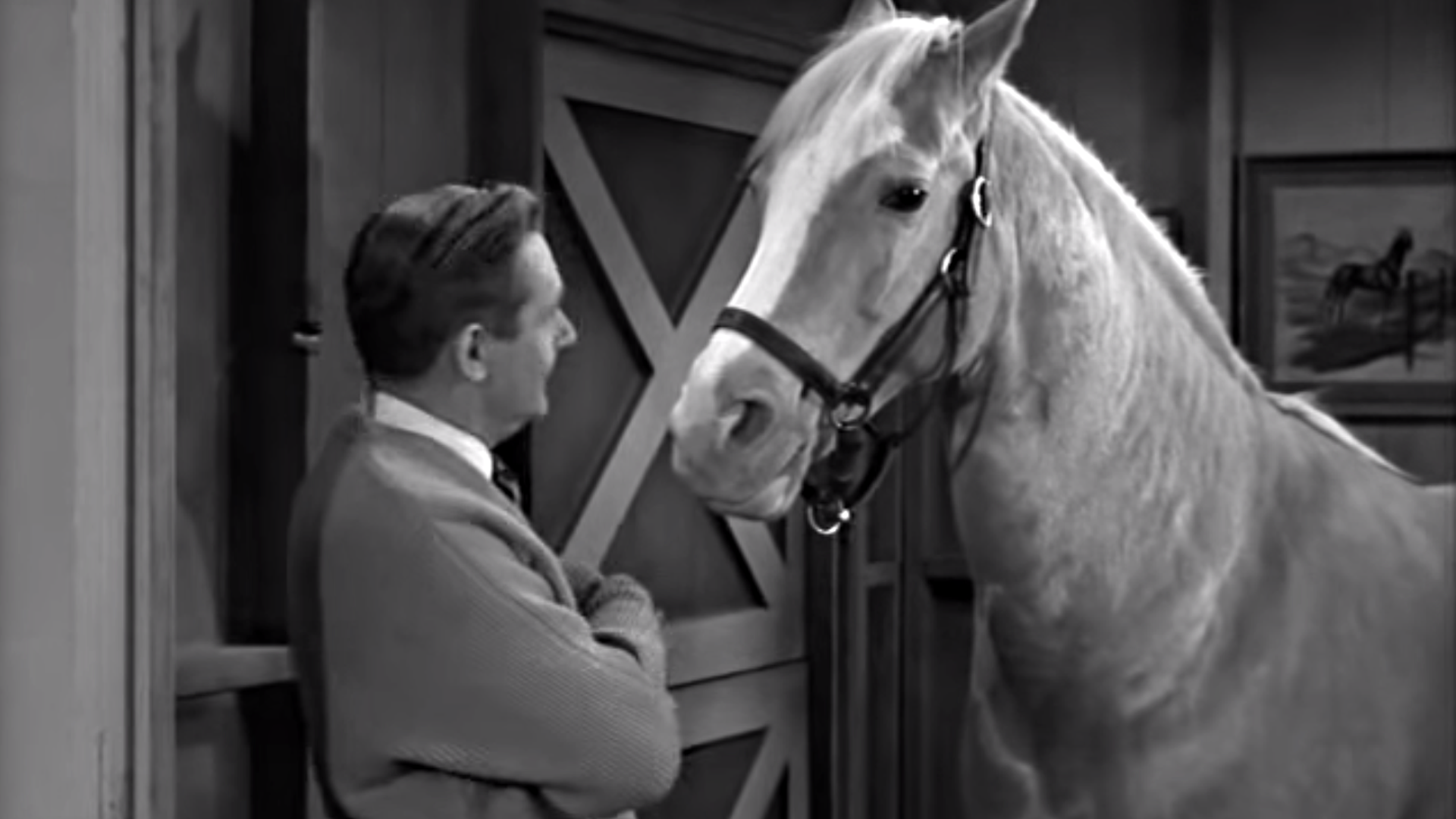 Mister Ed Wallpapers - Wallpaper Cave
