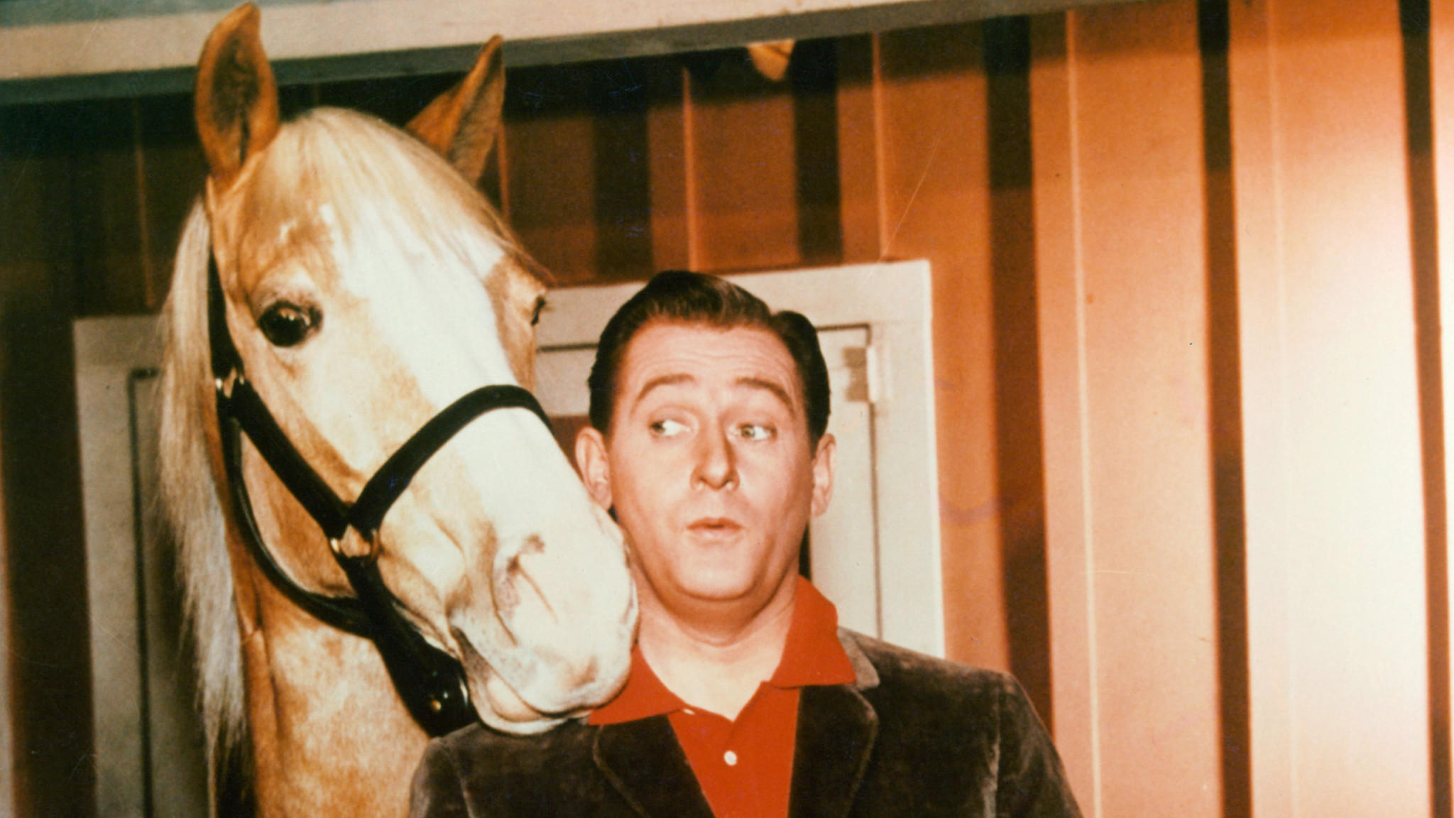 Mister Ed Wallpapers - Wallpaper Cave