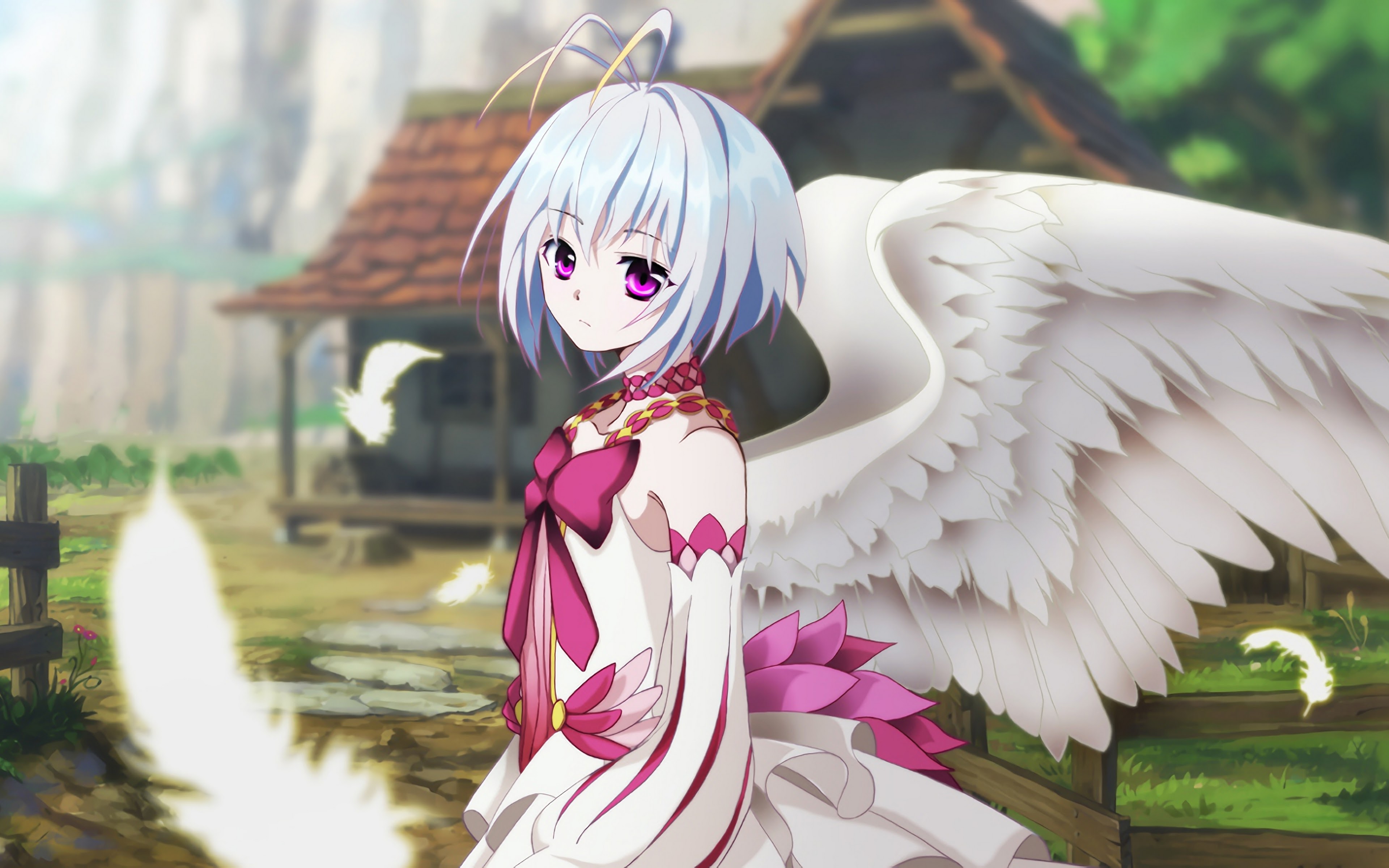 Fitoria Wallpapers - Wallpaper Cave