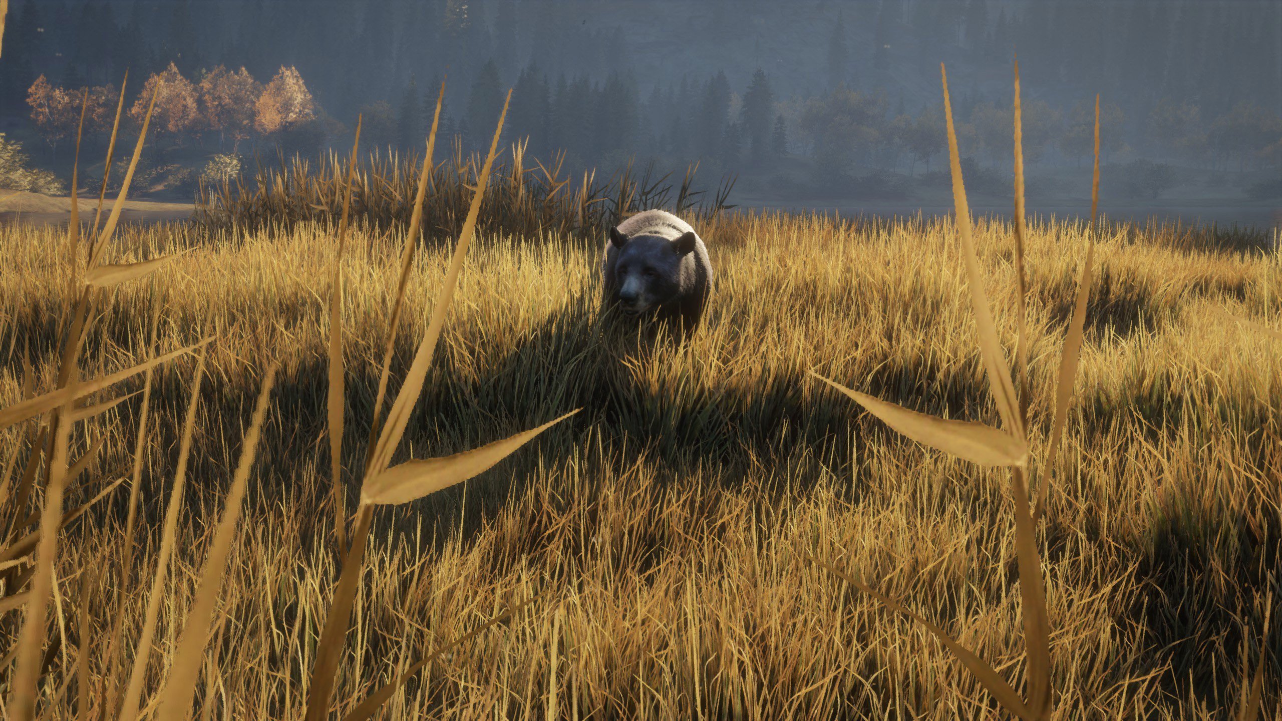 Call Of The Wild: The Angler Wallpapers - Wallpaper Cave