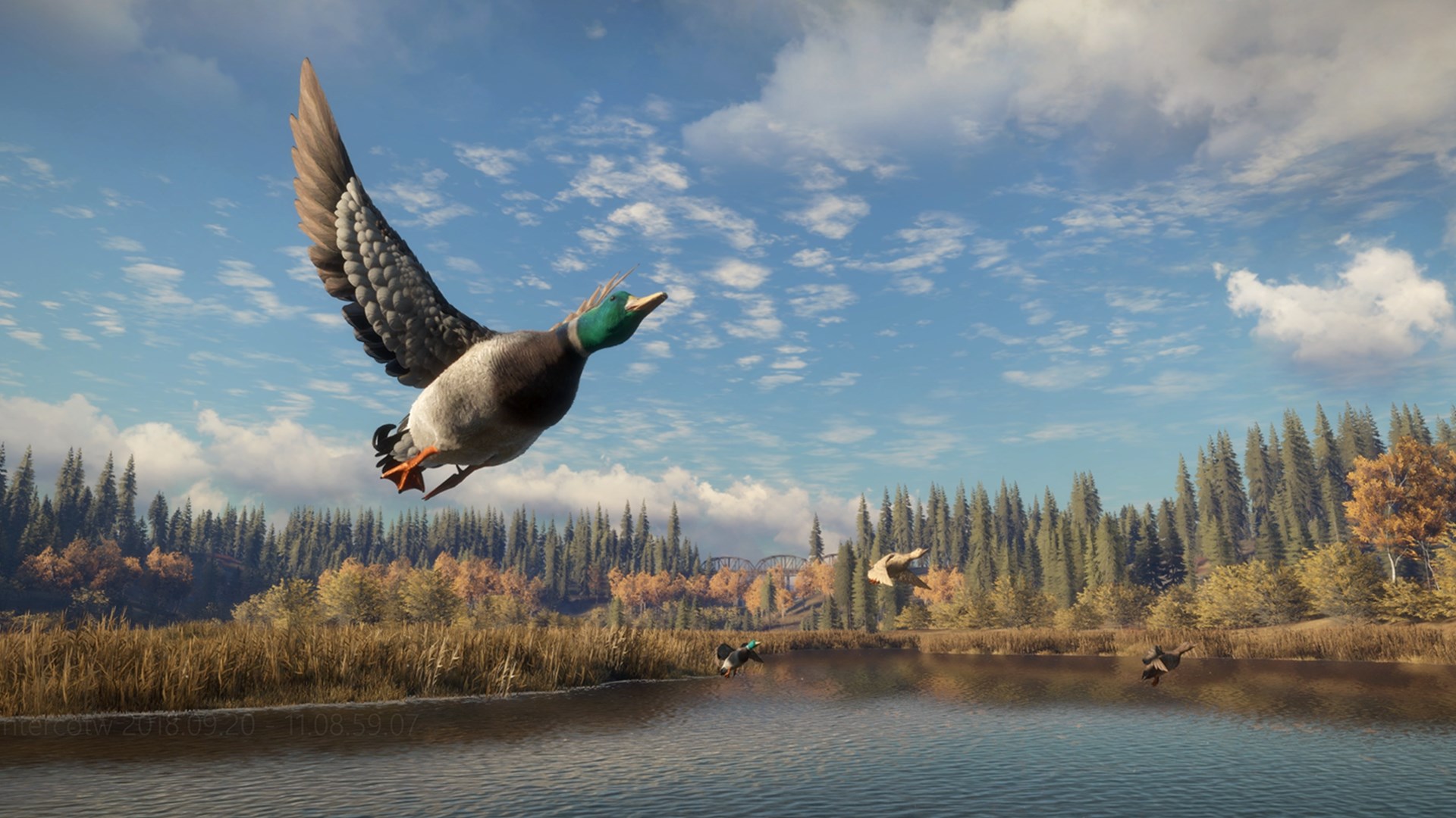 Call Of The Wild: The Angler Wallpapers - Wallpaper Cave