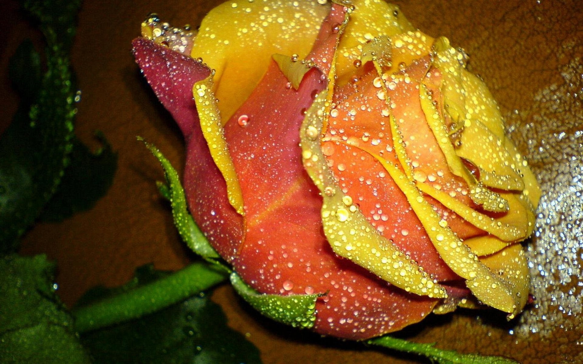 Spring Soft Wallpapers - Wallpaper Cave