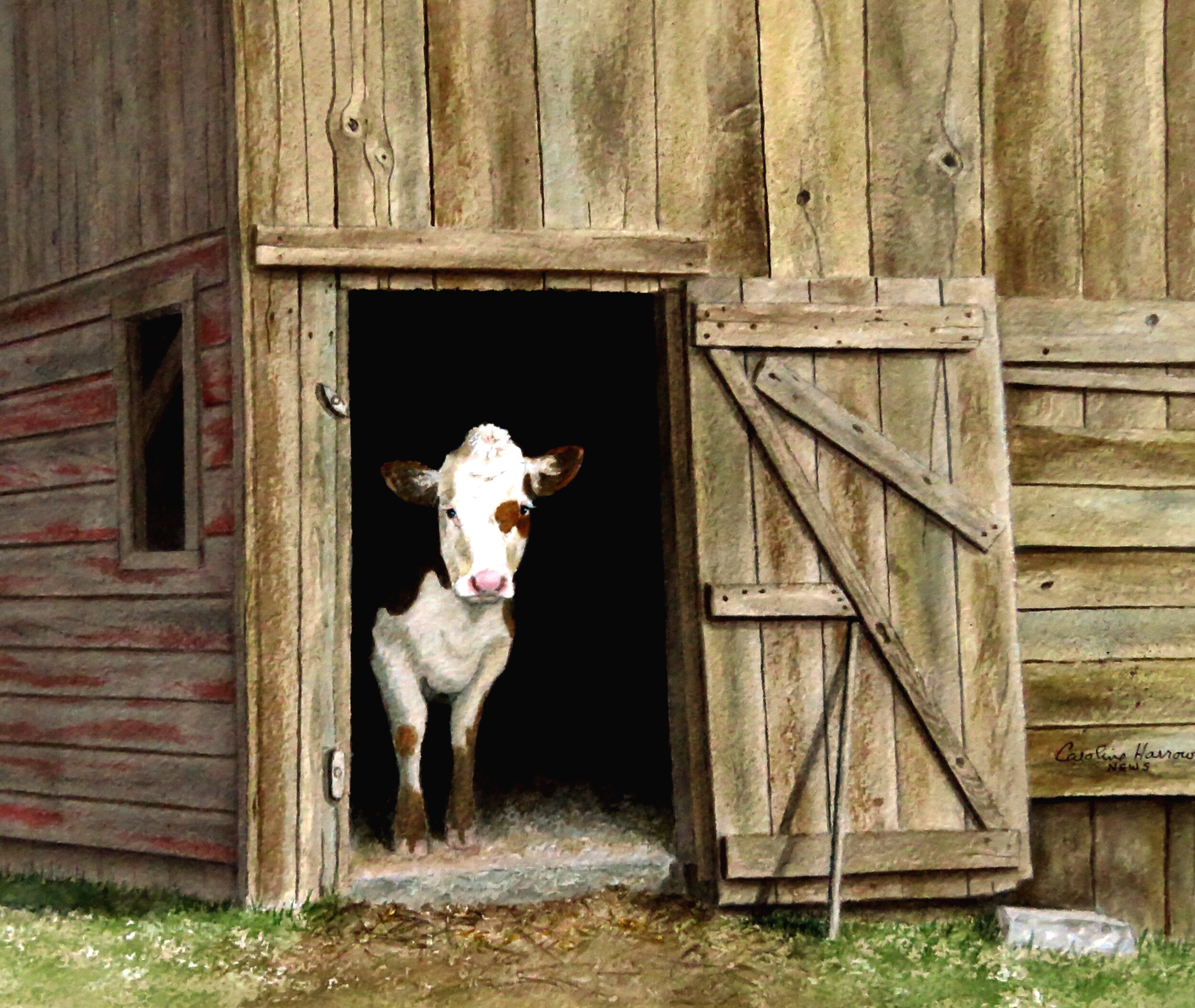 Cow In Barn Wallpapers - Wallpaper Cave
