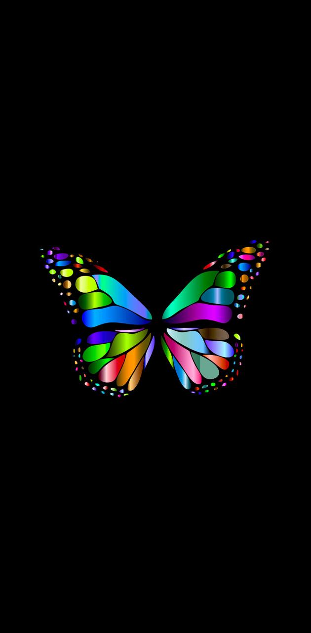 Colourful Butterfly Wallpapers - Wallpaper Cave