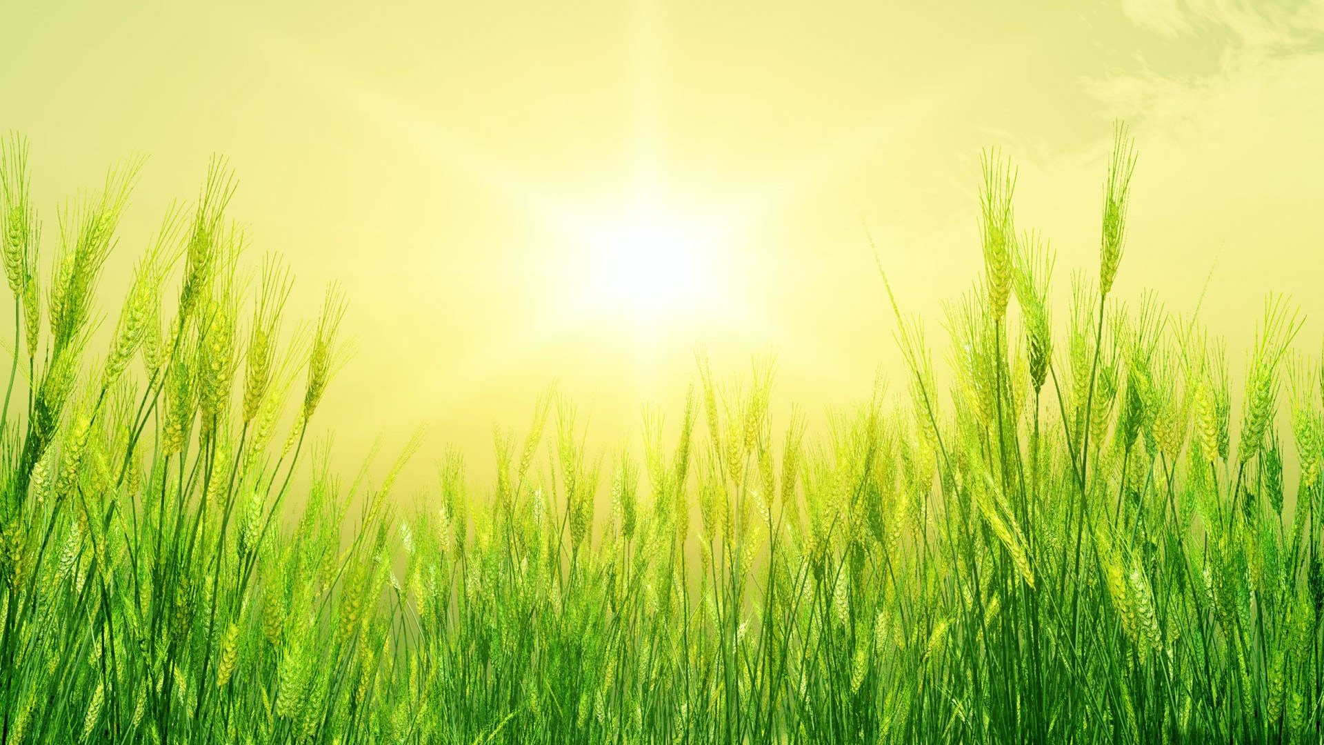 Summer Time Colors Wallpapers - Wallpaper Cave