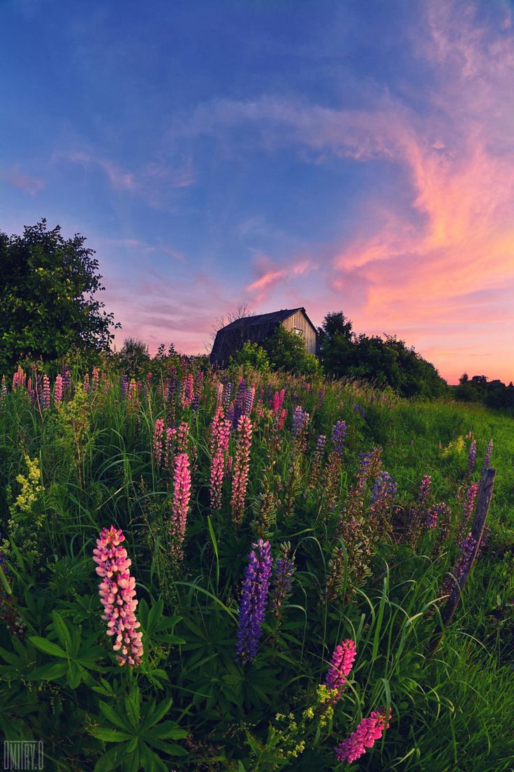 Summer Time Colors Wallpapers - Wallpaper Cave