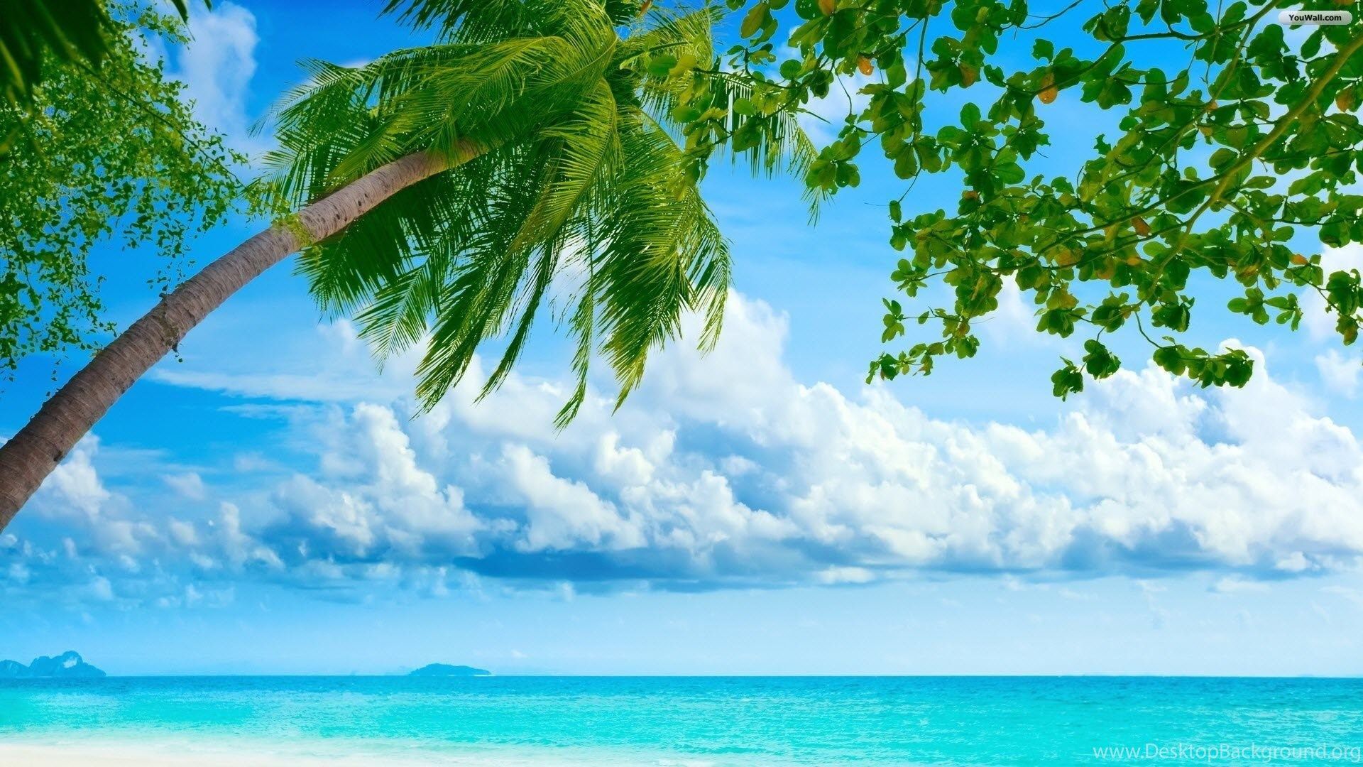 Cute Summer Blue Wallpapers - Wallpaper Cave